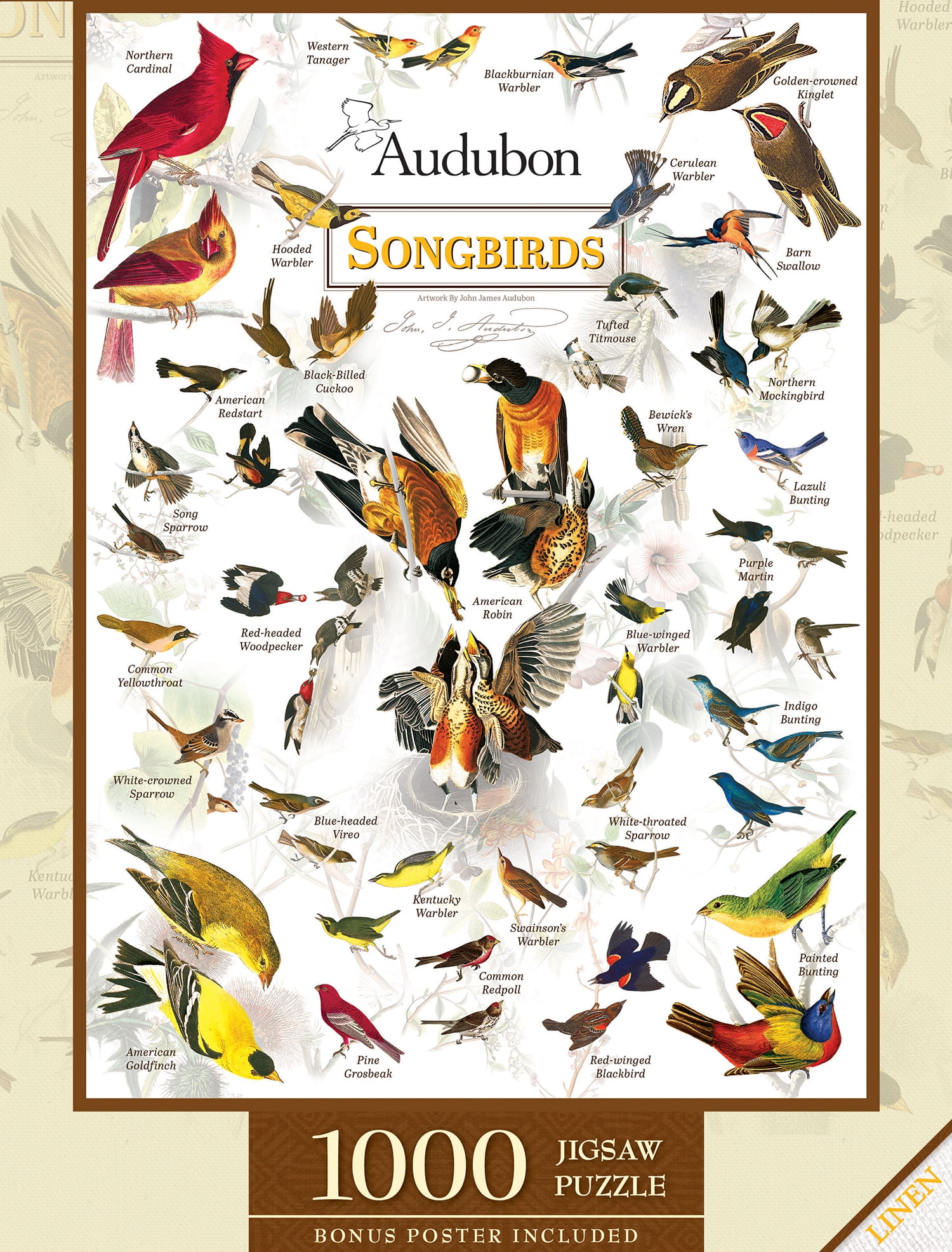MasterPieces 1000pc Jigsaw Puzzle - James Audubon Songbirds Art, Hand ...