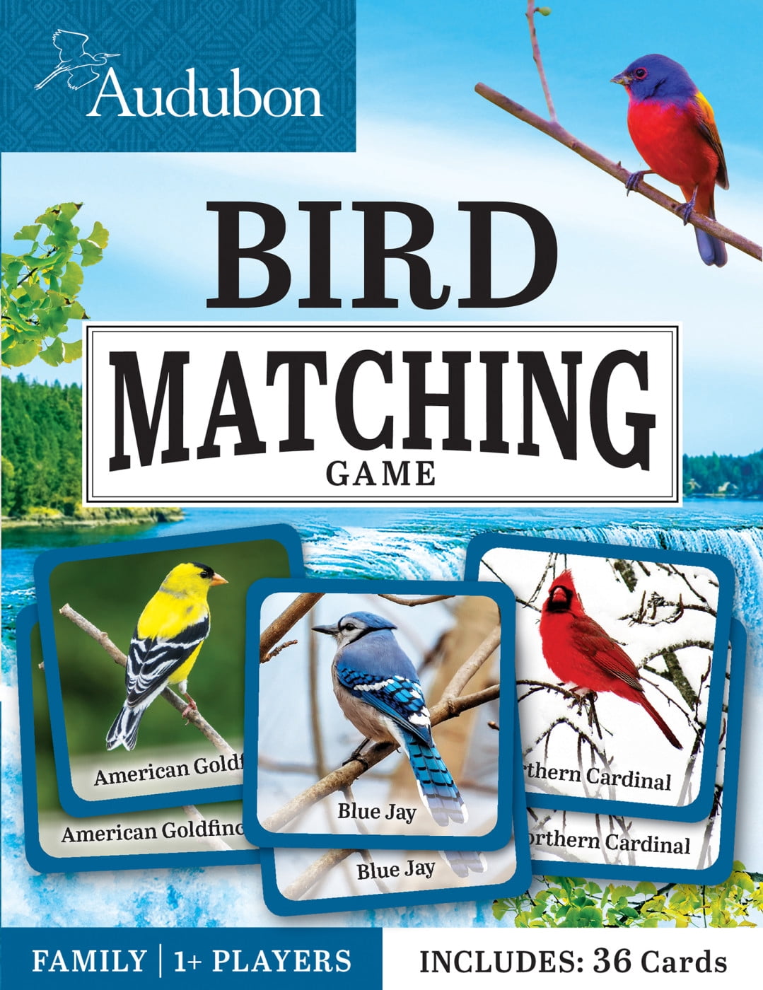 MasterPieces Officially Licensed Audubon Matching Game for Kids and ...