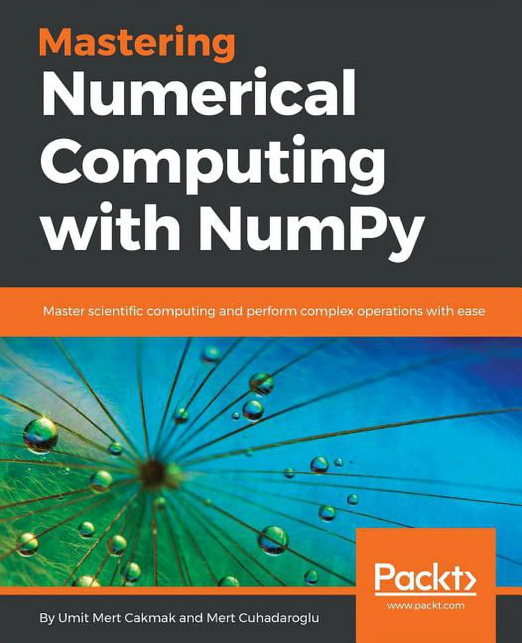 Mastering Numerical Computing with NumPy (Paperback) - Walmart.com Mastering Numerical Computing with NumPy (Paperback) - Walmart.com
