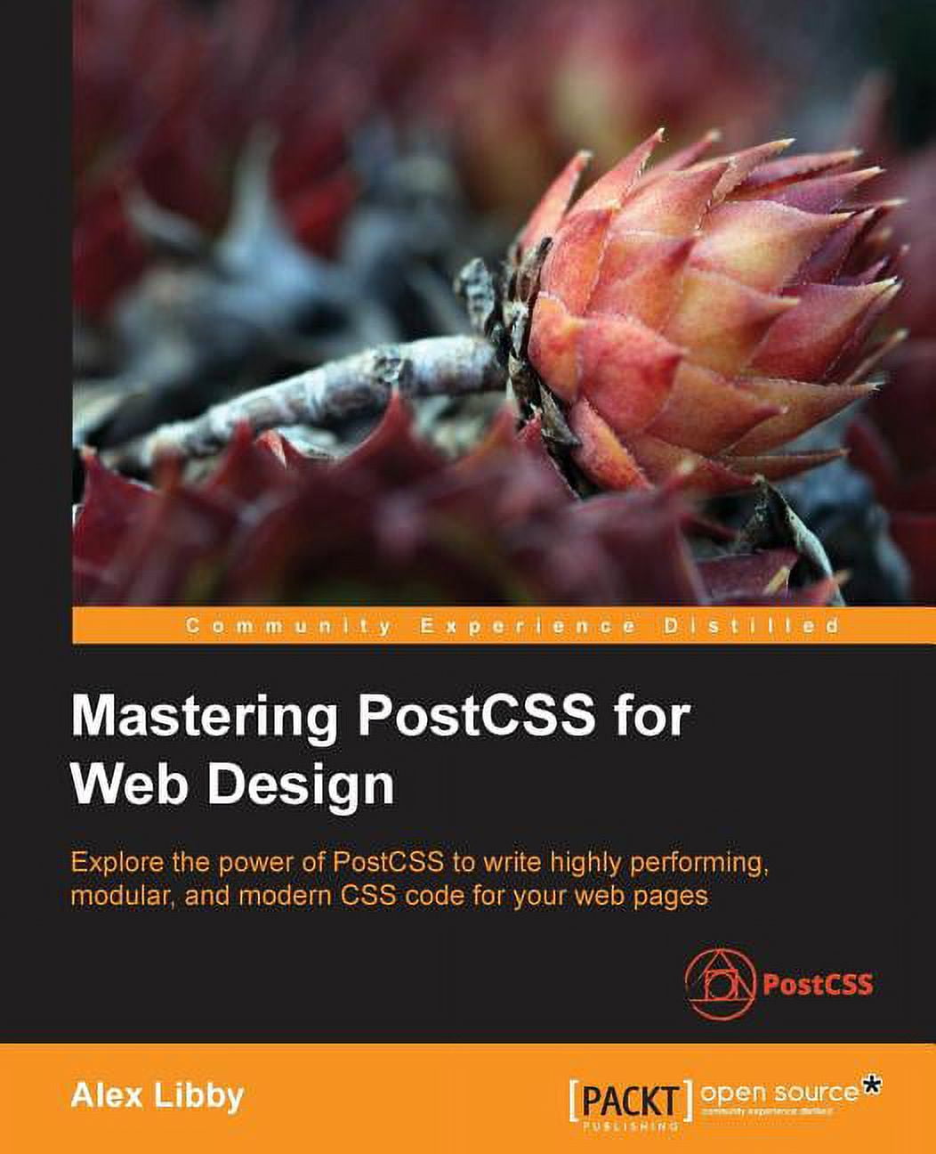 Mastering PostCSS for Web Design (Paperback) - Walmart.com