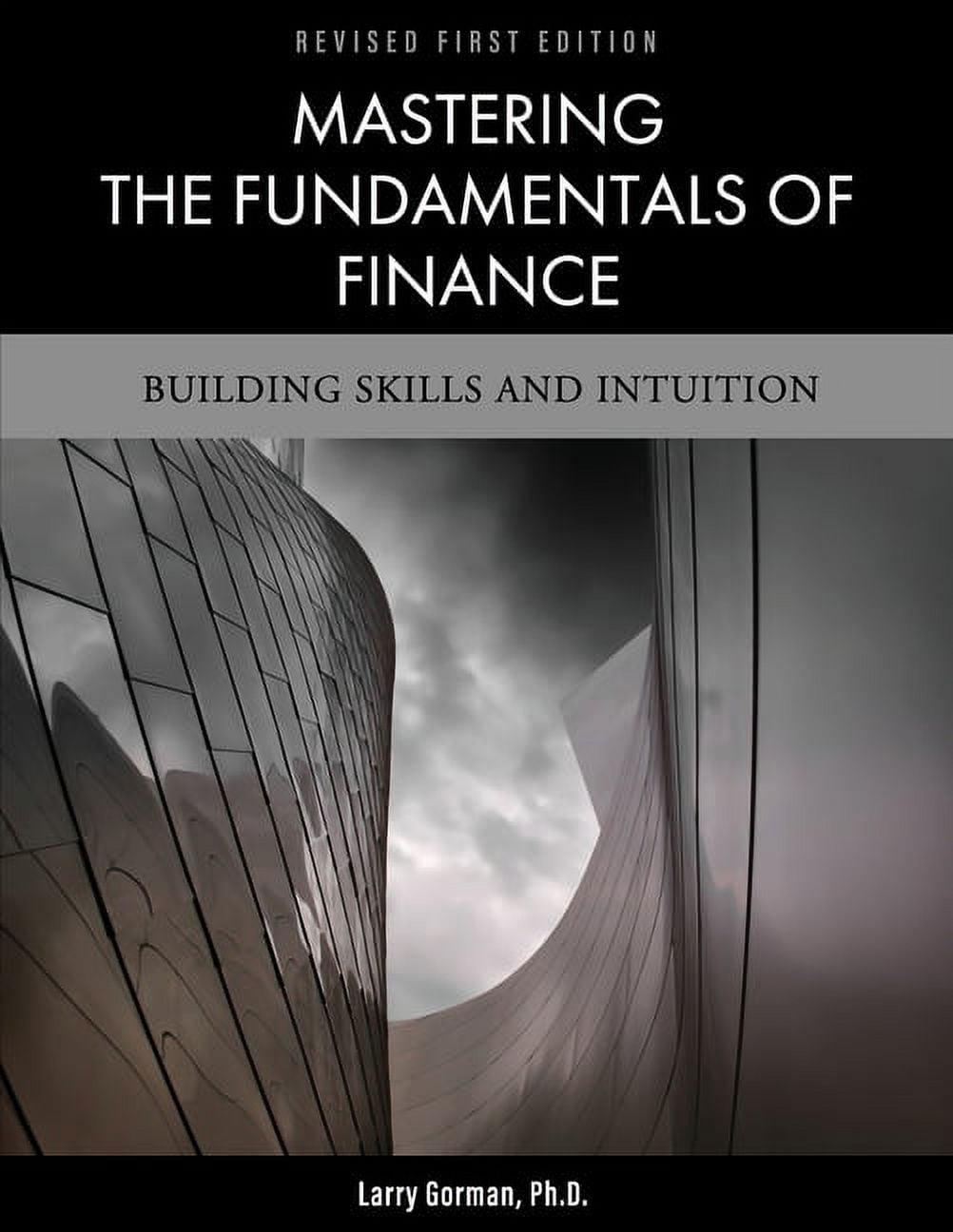 Mastering the Fundamentals of Finance : Building Skills and Intuition ...