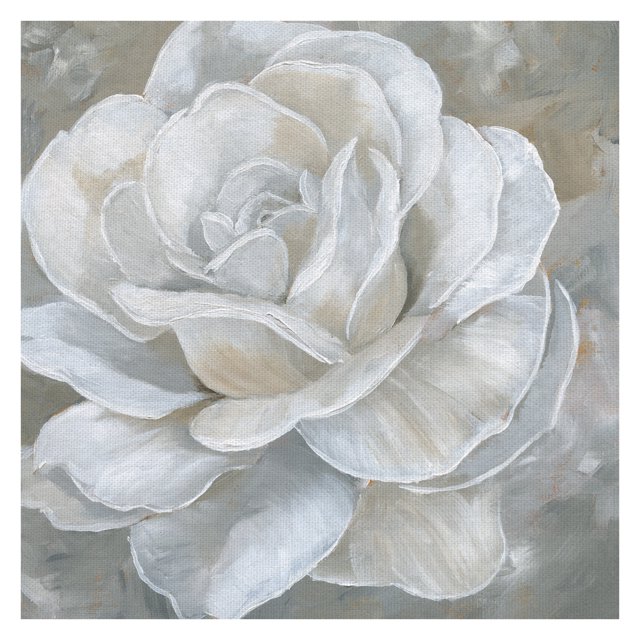 Masterpiece Art Gallery Bombshell Bloom II Roses By Nan Canvas Art ...