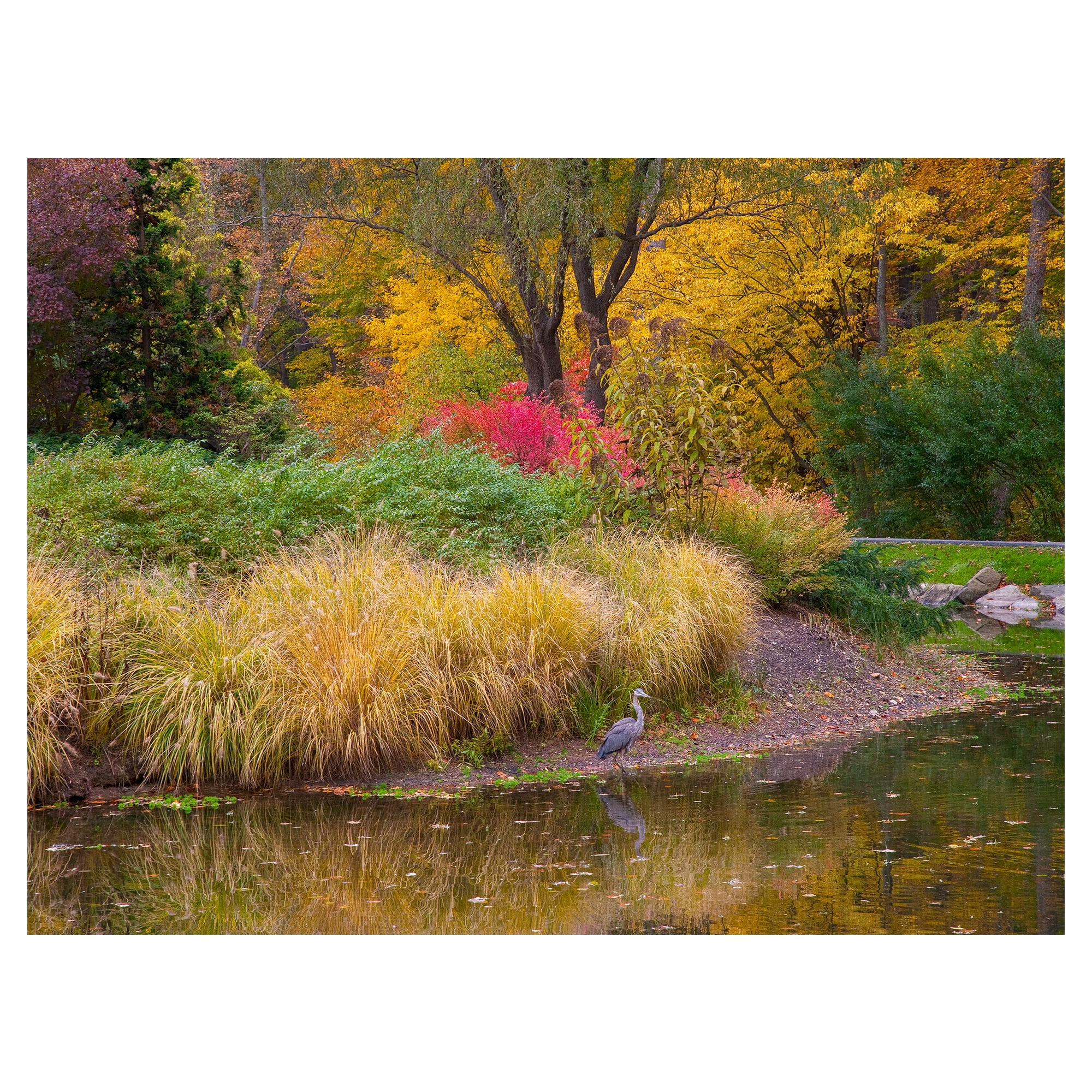 Masterpiece Art Gallery Colorful Forest Canvas Art Print - 18 x 24 ...