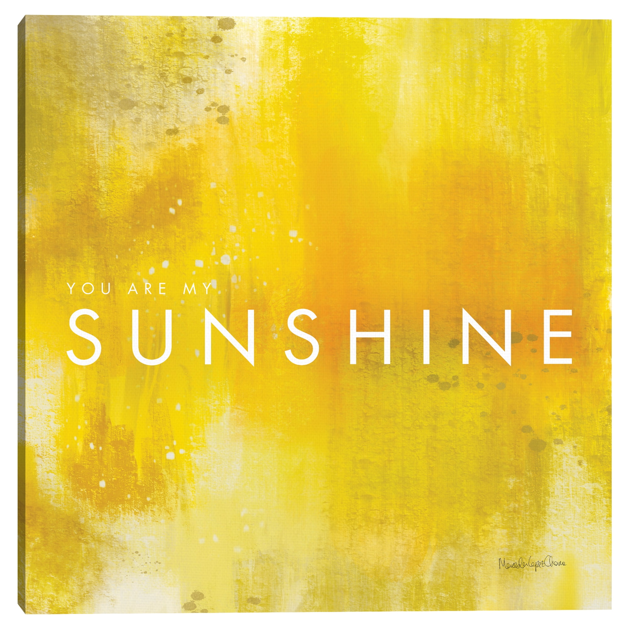 Masterpiece Art Gallery Sunshine by Mercedes Lopez Charro Canvas Art ...