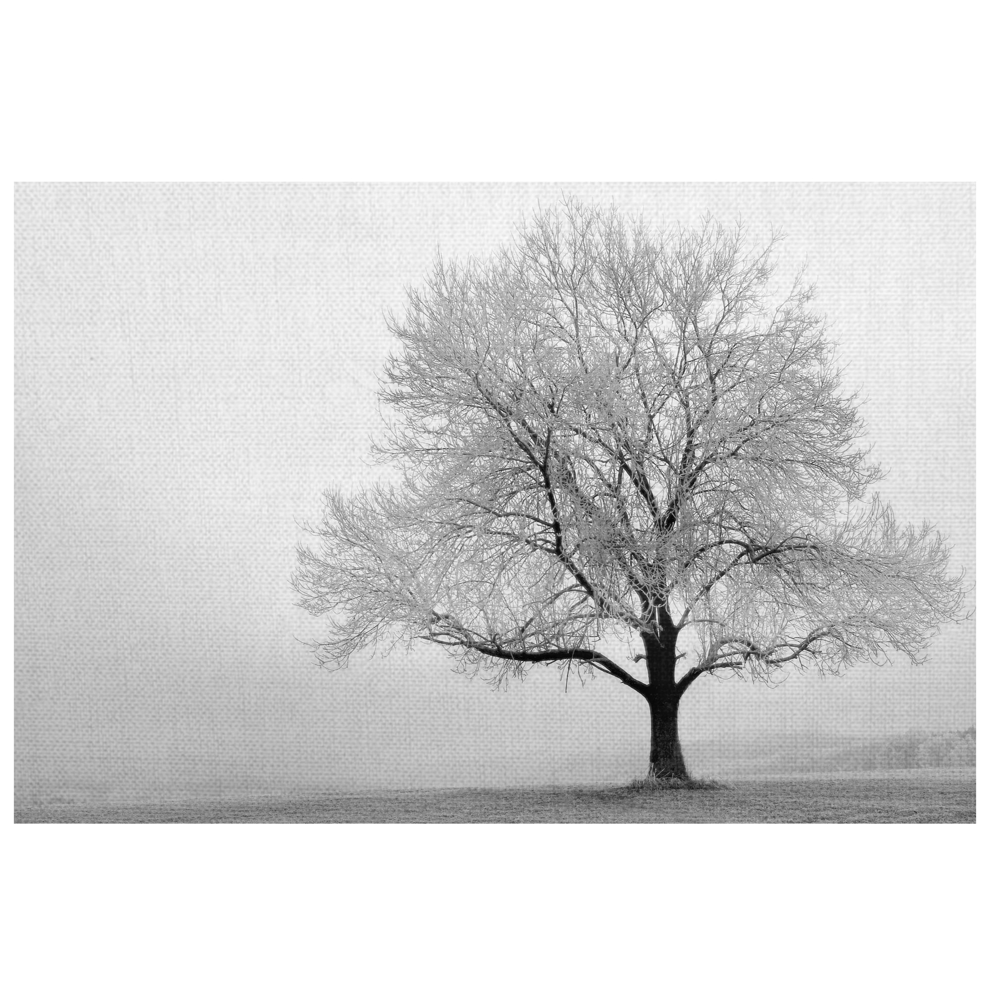 Free Shipping! Masterpiece Art Gallery Serenity Winter Tree Wrapped ...