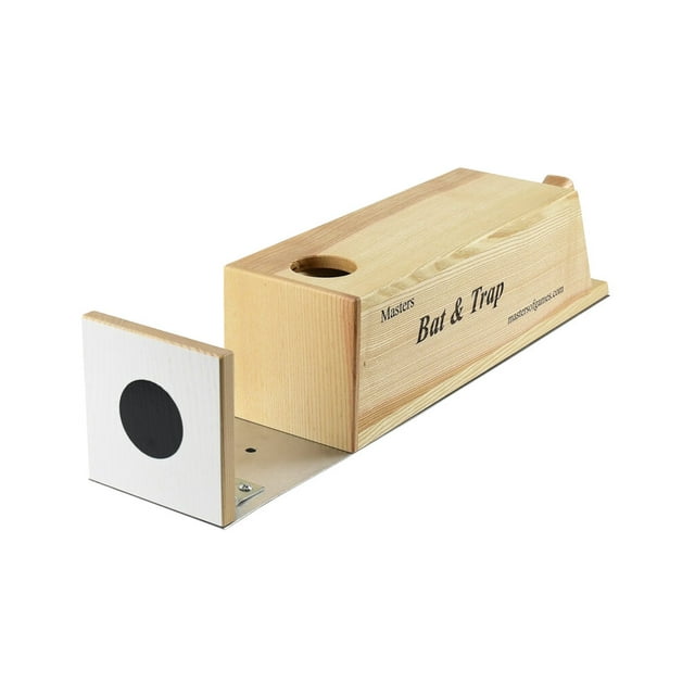 Masters Hand-made Ash League standard Trap for Bat and Trap (no balls ...