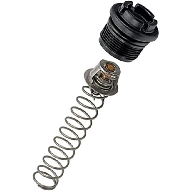 Mastertemp Max-E-Therm Style Thermal Regulator Kit - Walmart.com
