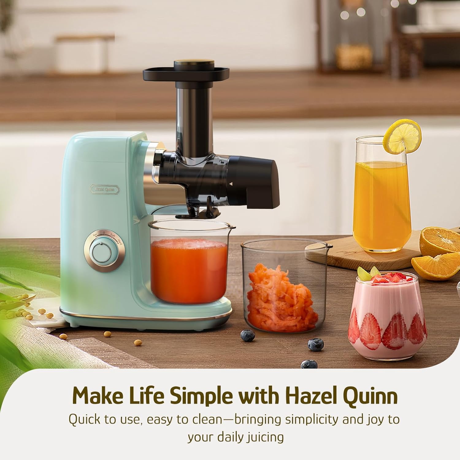 Masticating Juicer - Cold Press Slow Juicer for Fruits and Vegetables ...