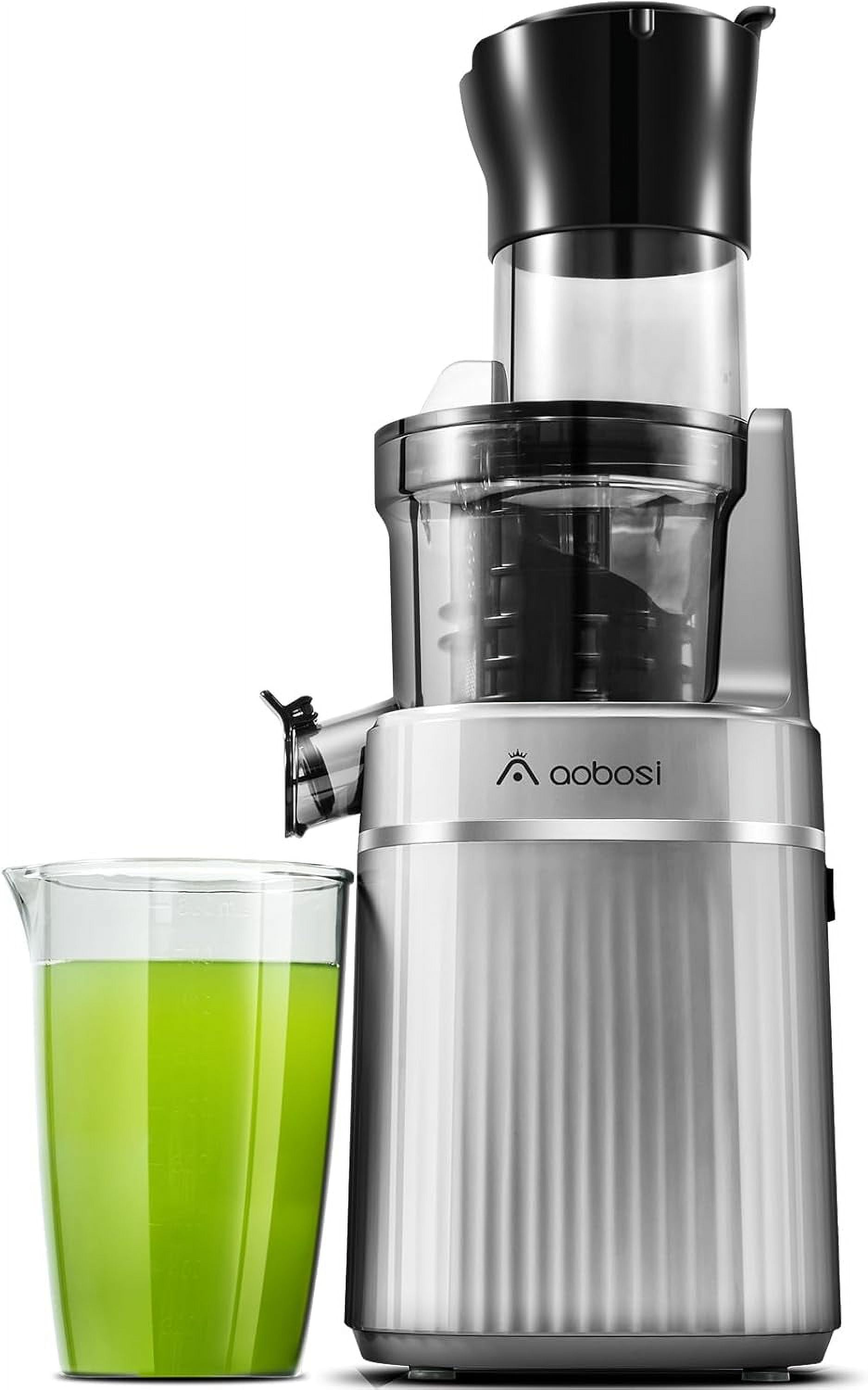 Masticating Juicer Machine, 2-In-1 Cold Press Juicer with Large Feed ...