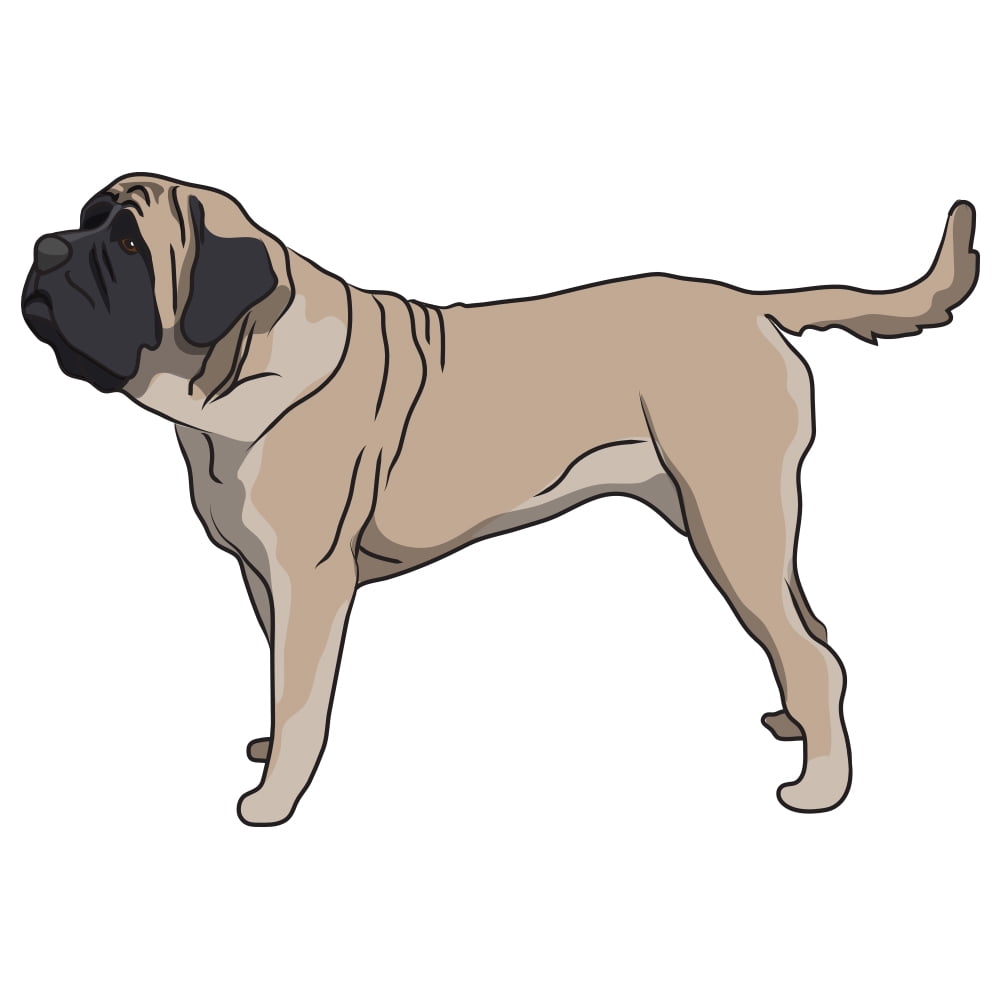 Mastiff Decal | Indoor/Outdoor | Dog Lover Super Cute Sticker for SUV ...