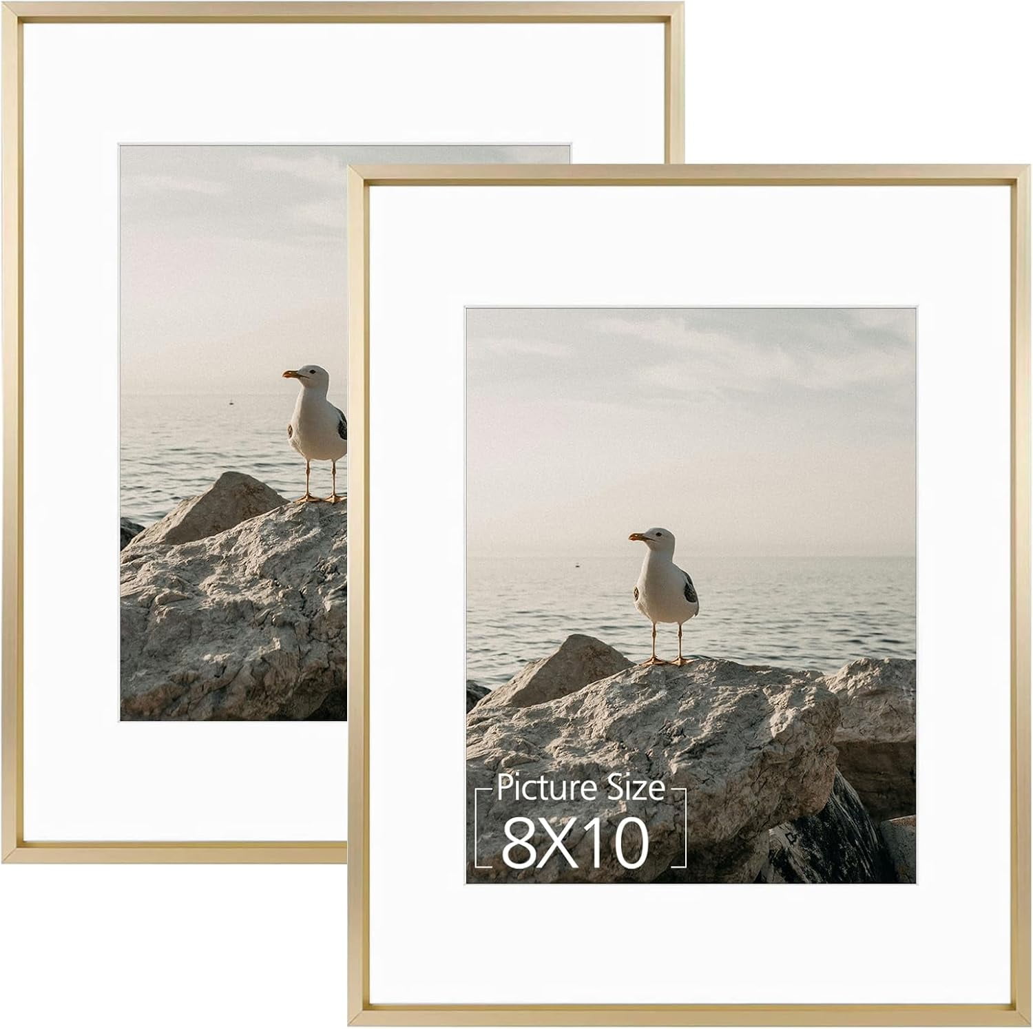 Mat Board Center, 11x14 Aluminum Gold Picture Frame - Displays 8x10 ...