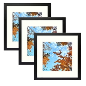 Shop 12x12 Picture Frames for Home Decor in Black and Wood Finishes