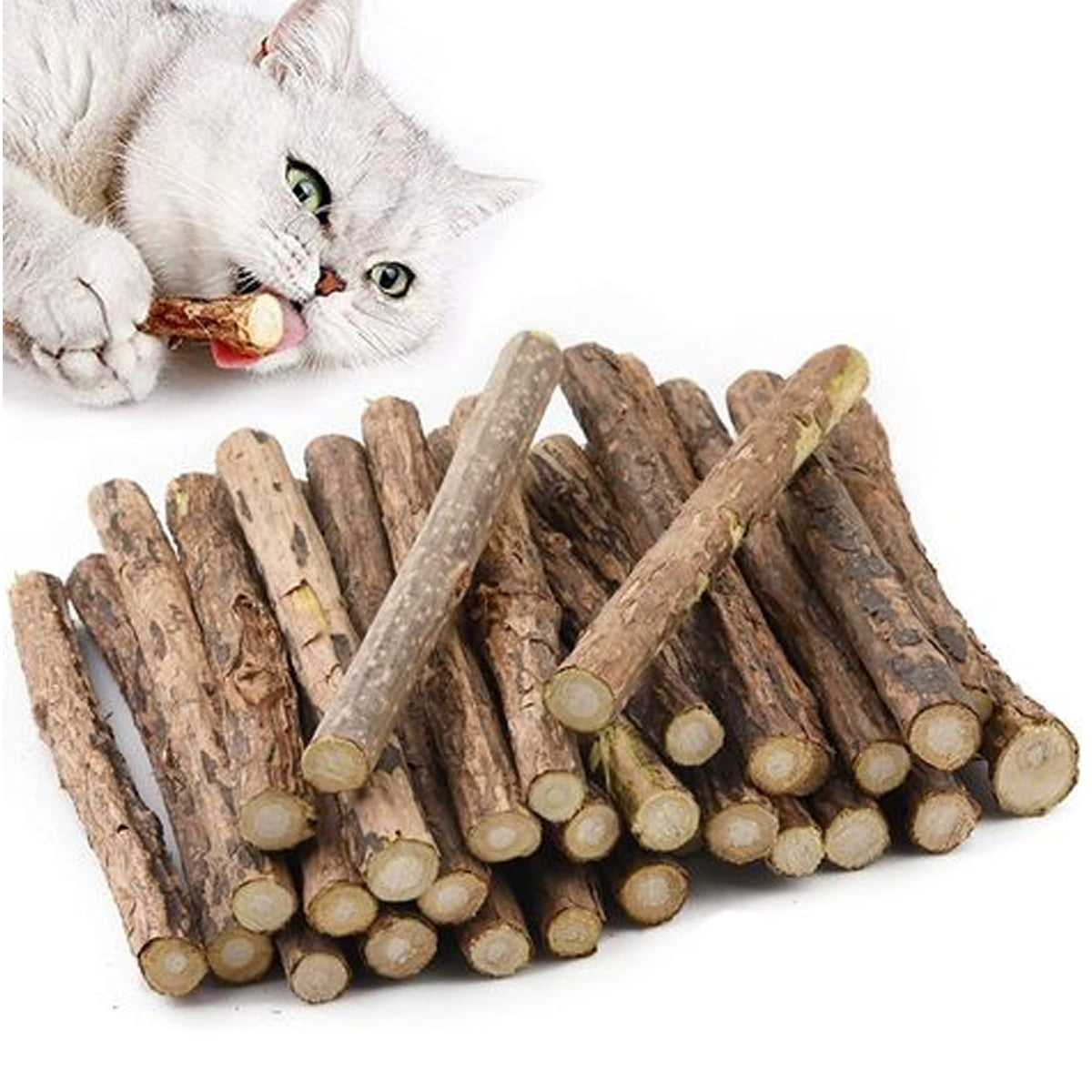 Matatabi Cat Treats, Natural Silvervine Sticks for Improved Oral Health ...