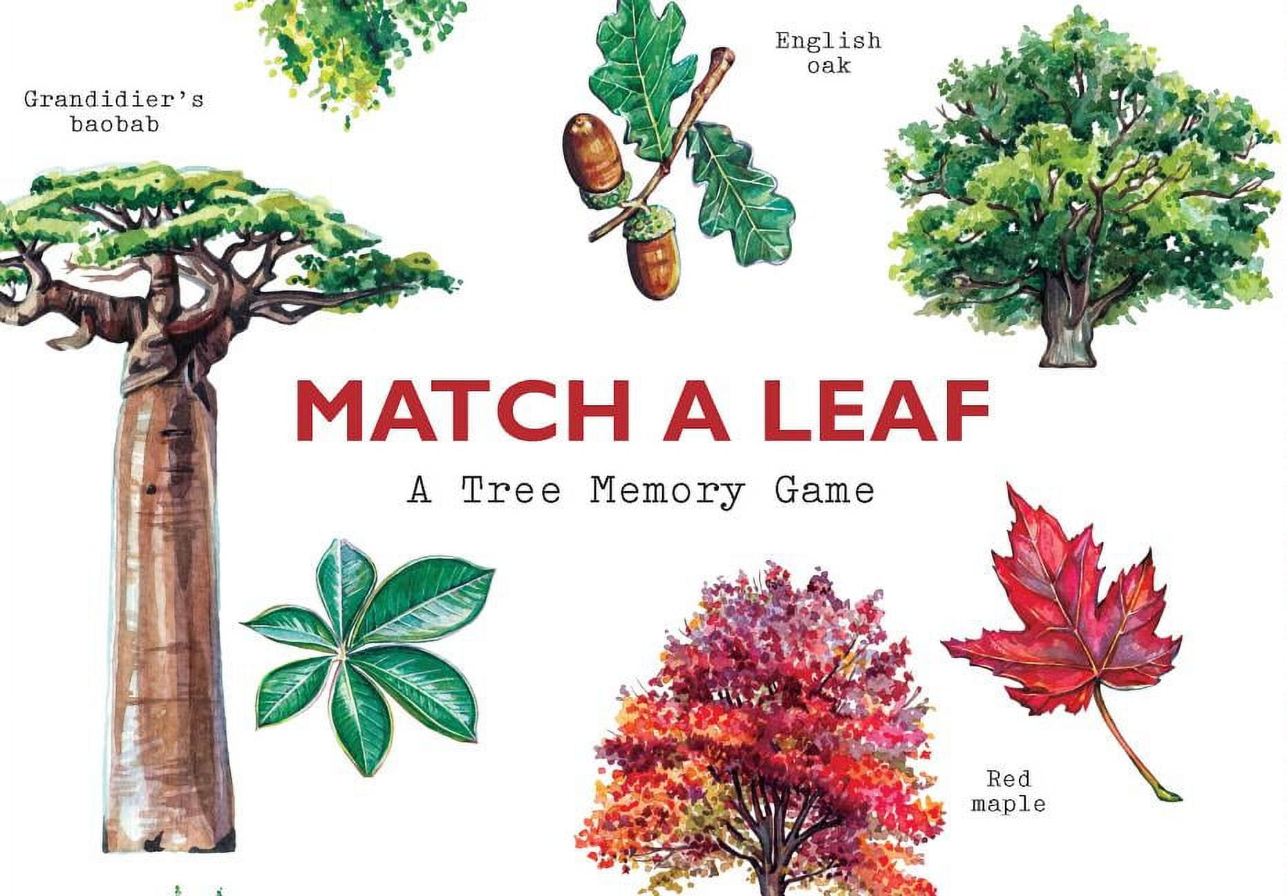 Match a Leaf : A Tree Memory Game (Game) - Walmart.com