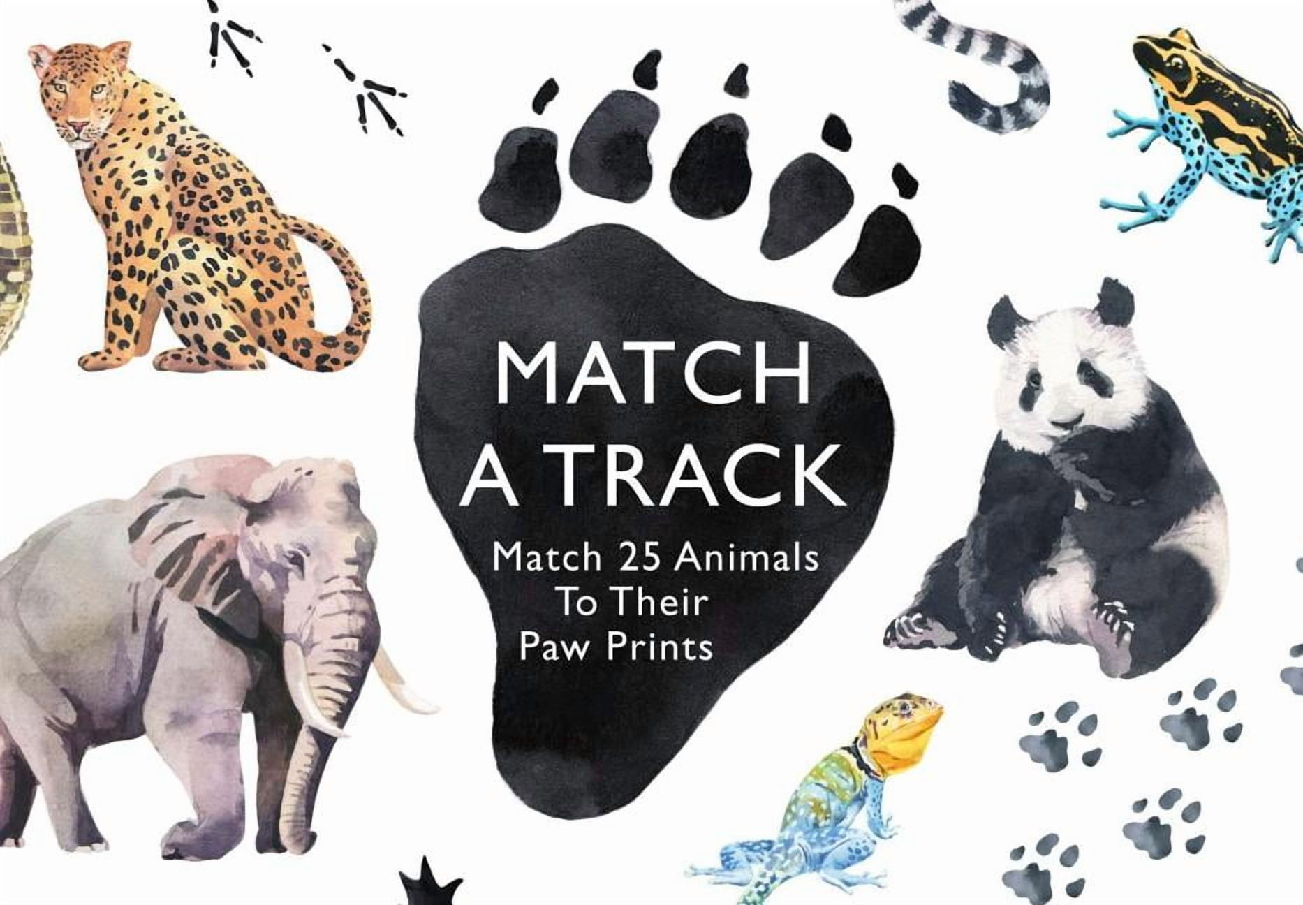 Match a Track : Match 25 Animals to Their Paw Prints (Cards) - Walmart.com