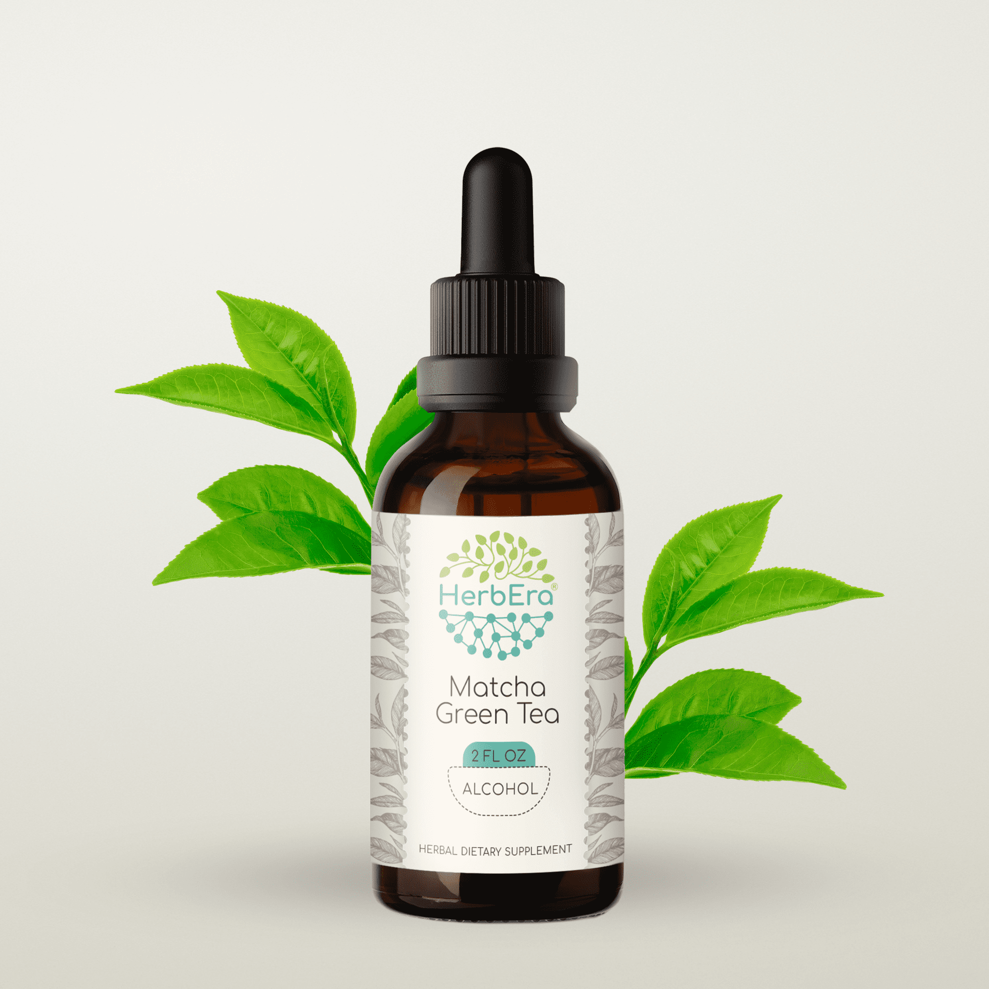 Matcha Green Tea Alcohol Herbal Extract Tincture, Super-Concentrated ...
