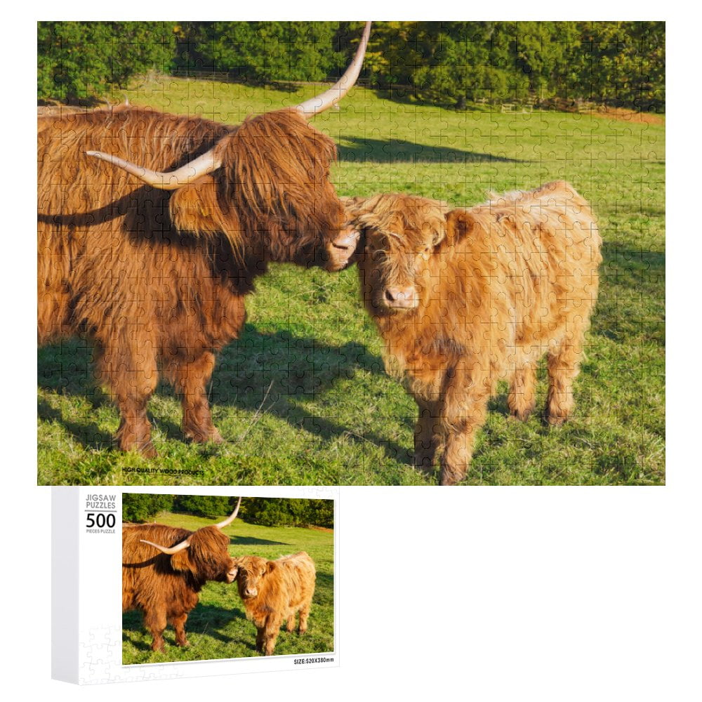 Maternal Love of Scotish Cows (highland Cattle Jigsaw Puzzles 500 ...