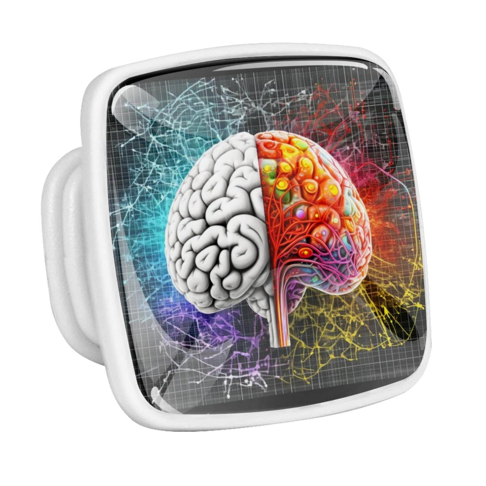 Math Engineering Brain Fluorescent Drawer Pulls with Screws Square 4 ...