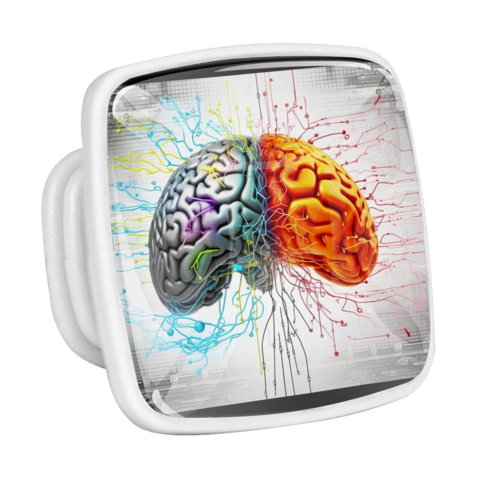 Math Engineering Brain Fluorescent Drawer Pulls with Screws Square 4 ...