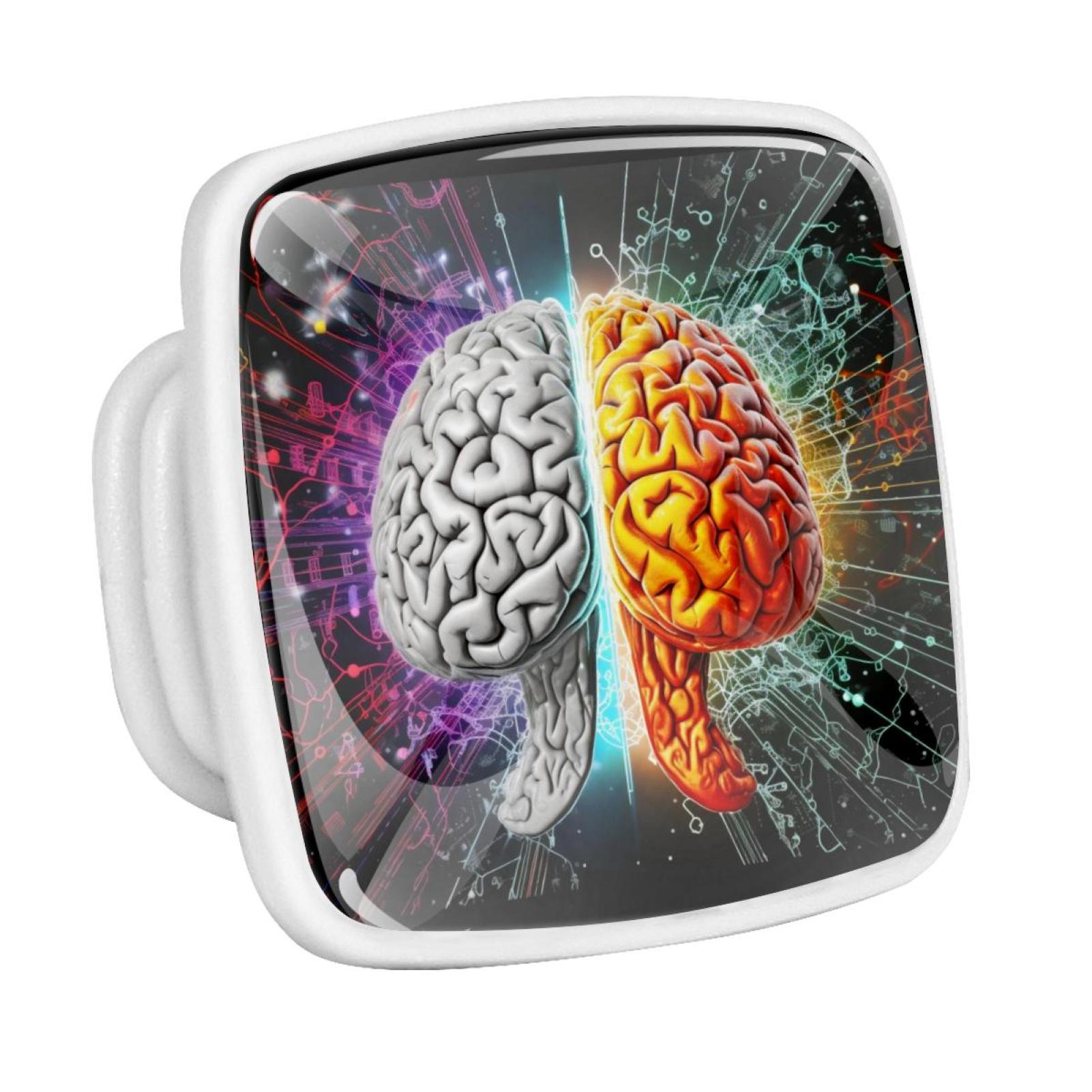 Math Engineering Brain Fluorescent Drawer Pulls with Screws Square 4 ...