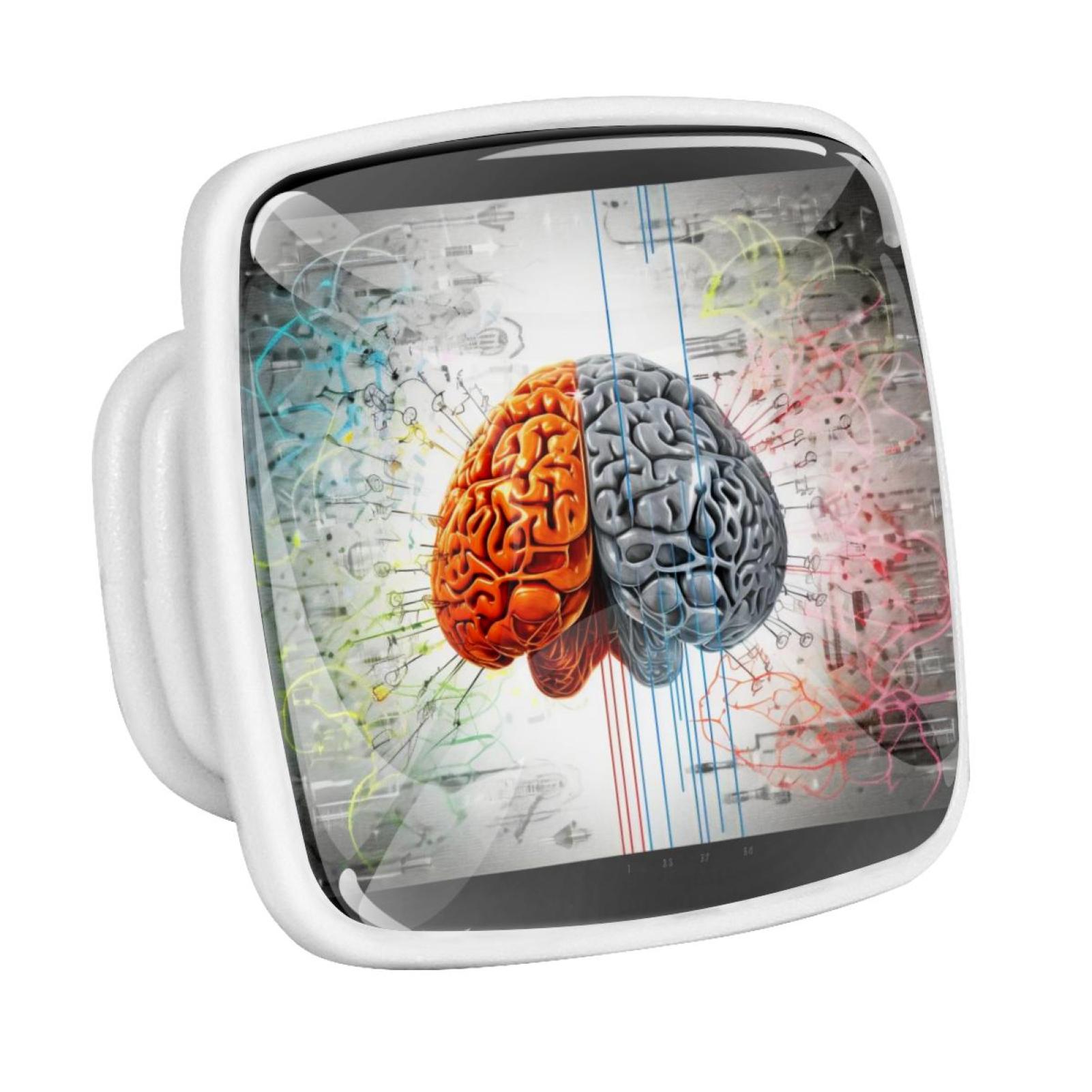 Math Engineering Brain Fluorescent Drawer Pulls with Screws Square 4 ...