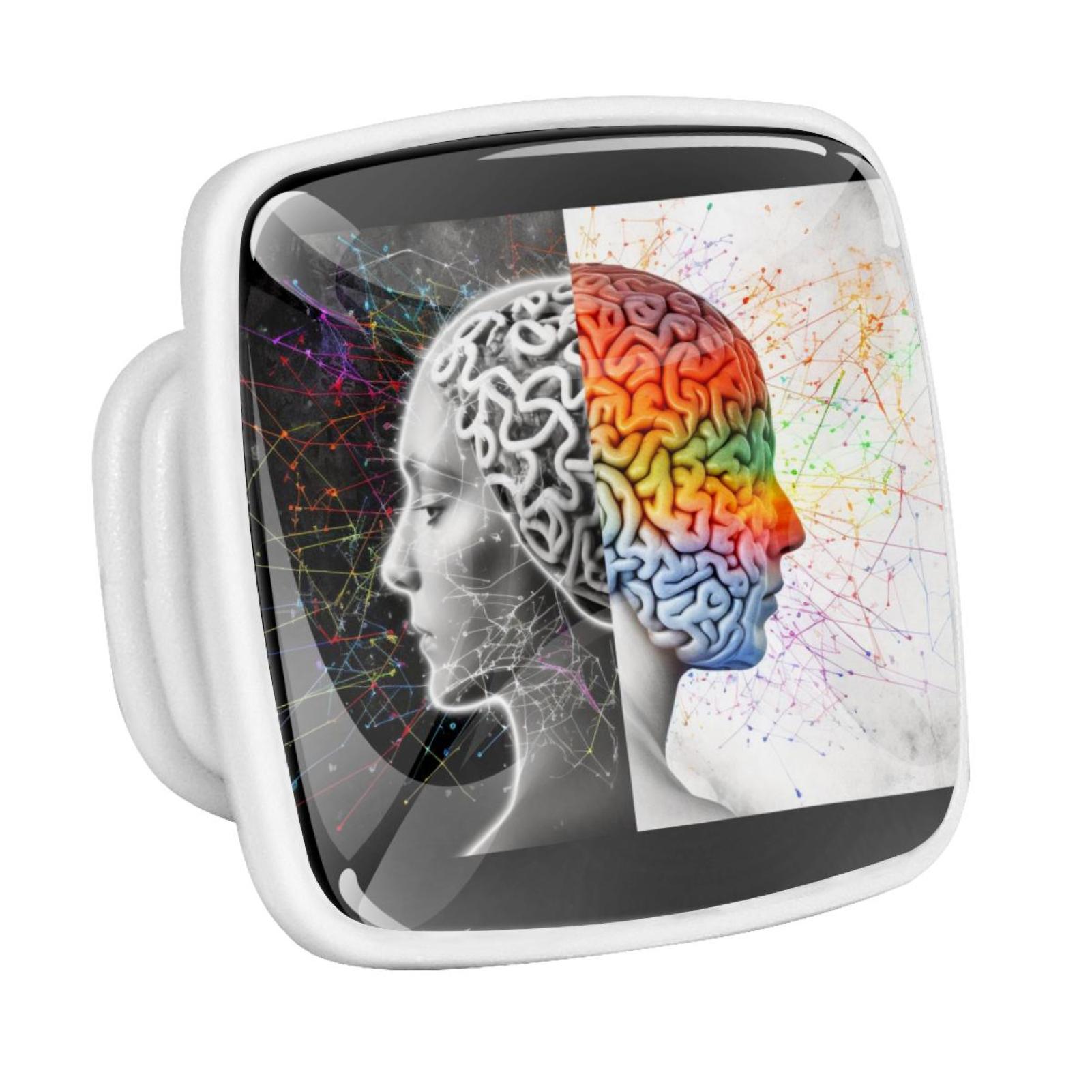 Math Engineering Brain Fluorescent Drawer Pulls with Screws Square 4 ...