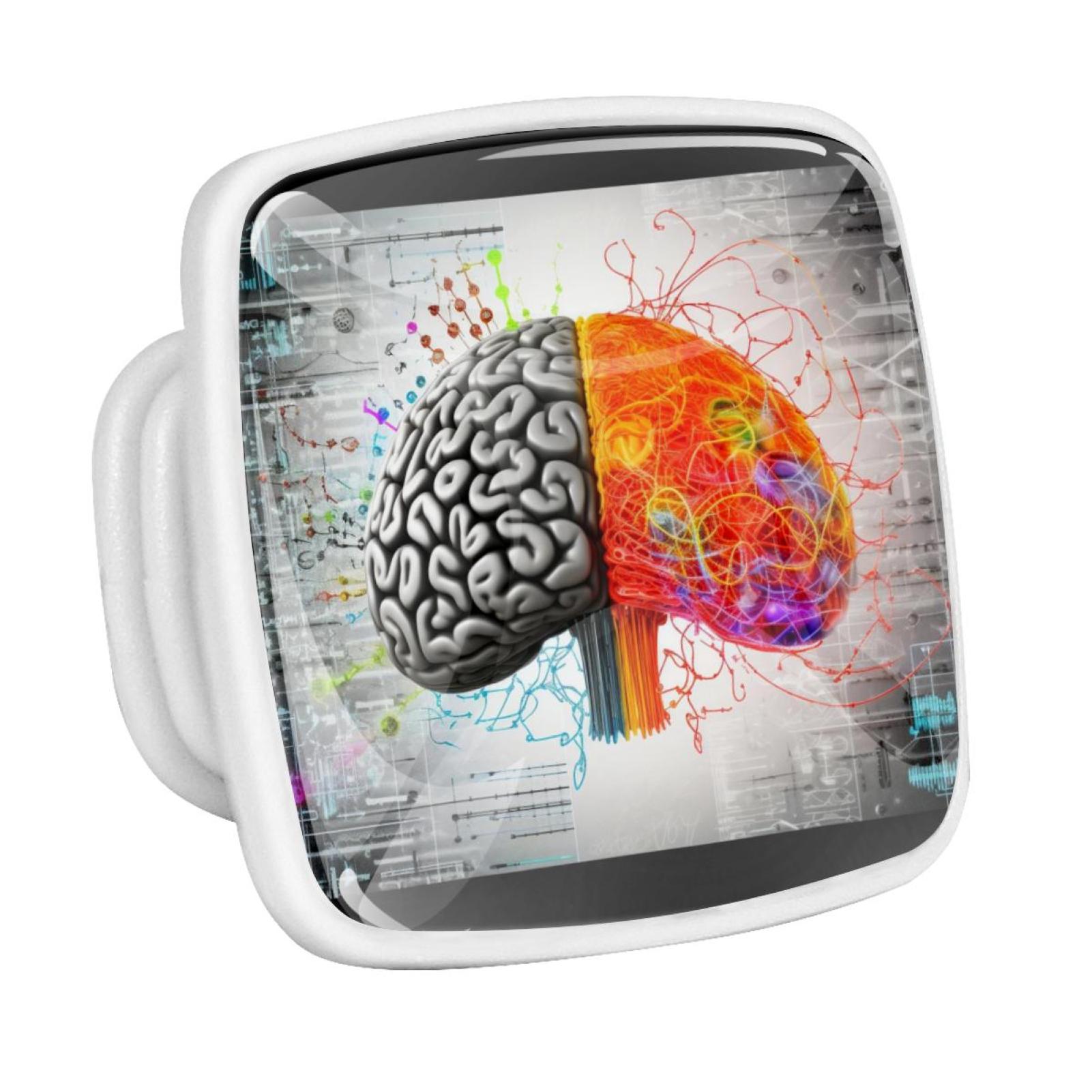 Math Engineering Brain Fluorescent Drawer Pulls with Screws Square 4 ...