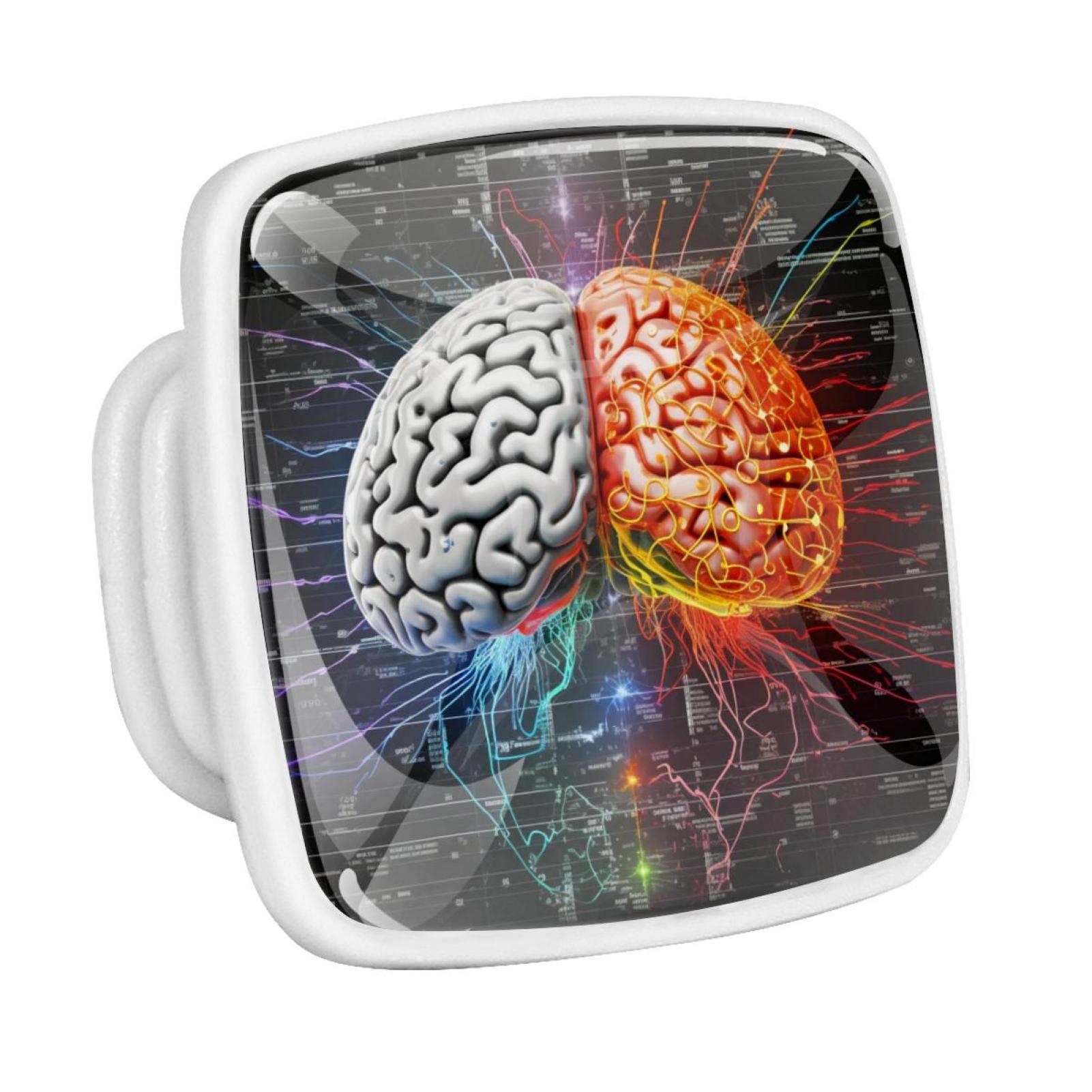 Math Engineering Brain Fluorescent Drawer Pulls with Screws Square 4 ...