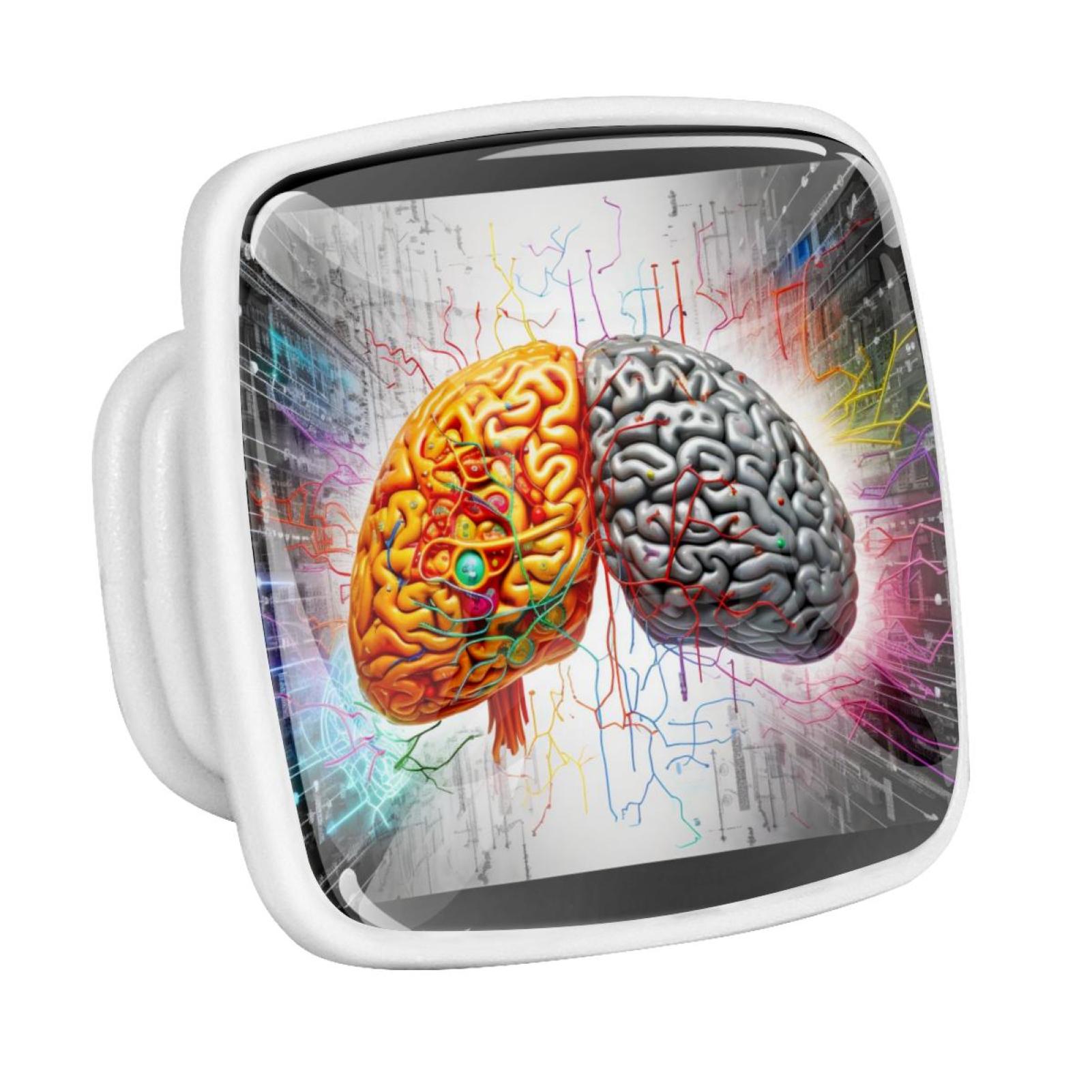 Math Engineering Brain Fluorescent Drawer Pulls with Screws Square 4 ...