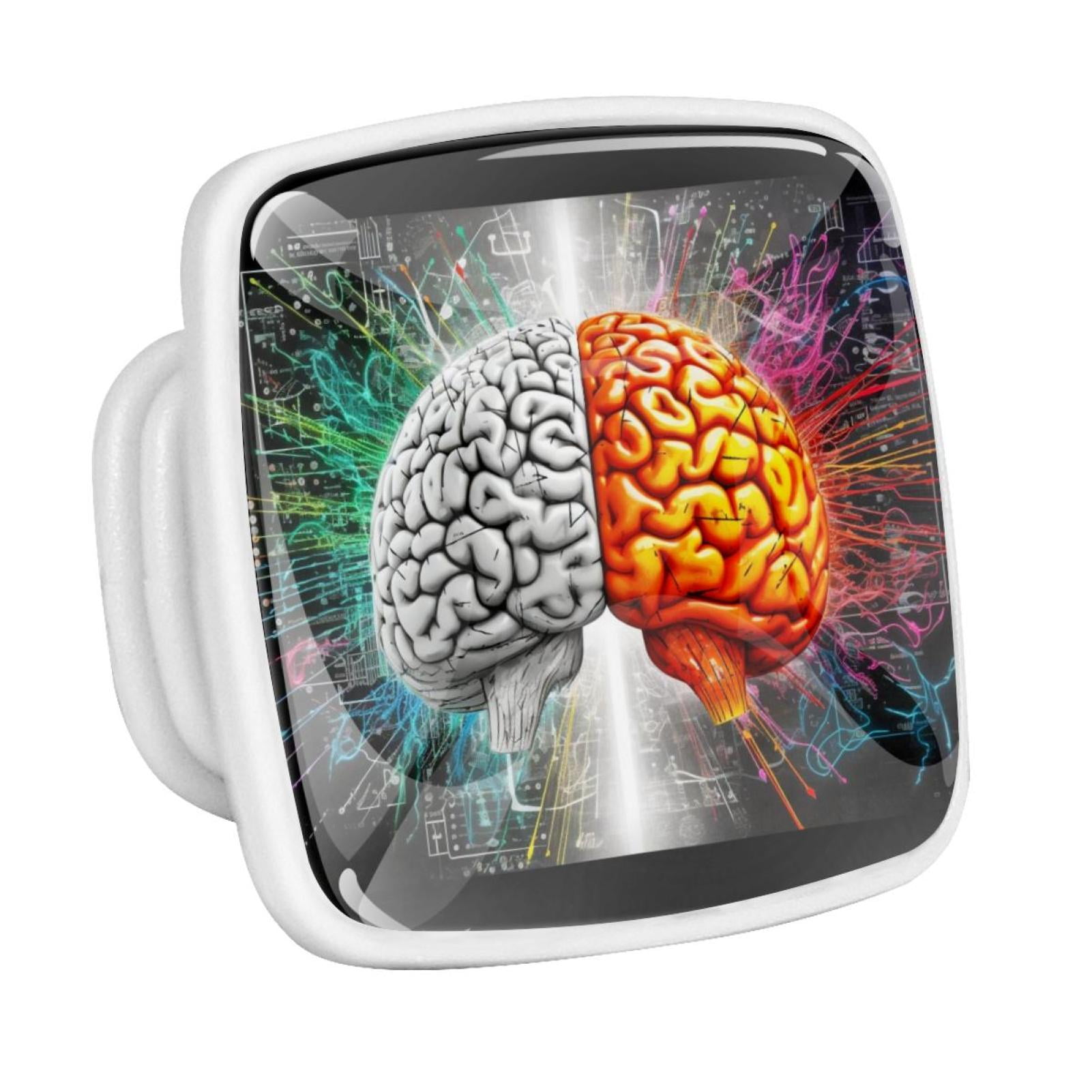 Math Engineering Brain Fluorescent Drawer Pulls with Screws Square 4 ...