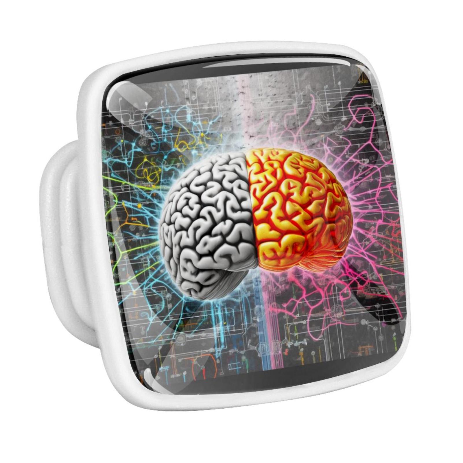 Math Engineering Brain Fluorescent Drawer Pulls with Screws Square 4 ...