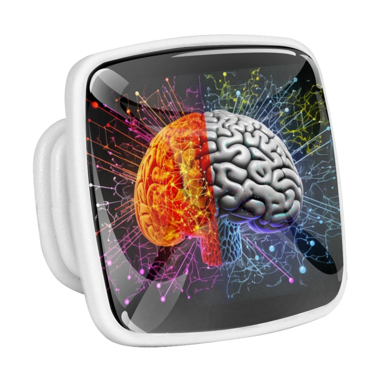 Math Engineering Brain Fluorescent Drawer Pulls with Screws Square 4 ...