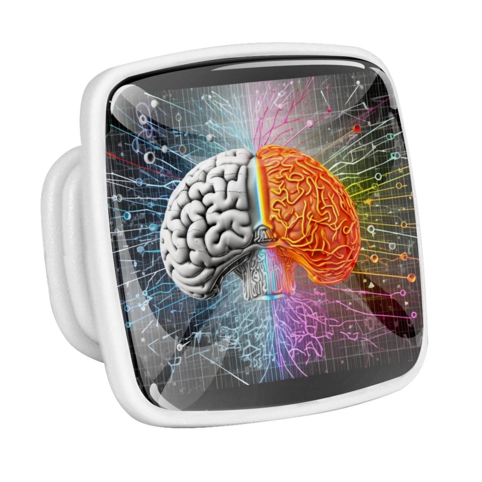 Math Engineering Brain Fluorescent Drawer Pulls with Screws Square 4 ...