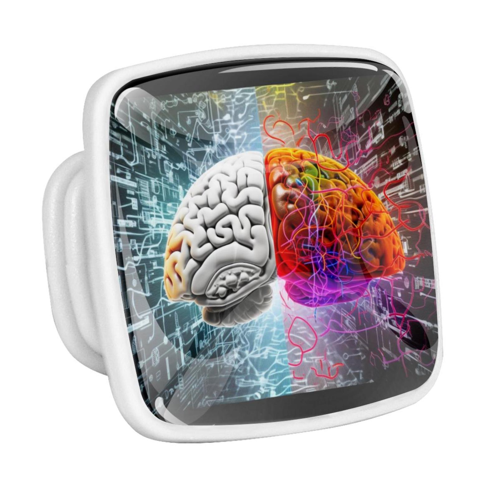 Math Engineering Brain Fluorescent Drawer Pulls with Screws Square 4 ...