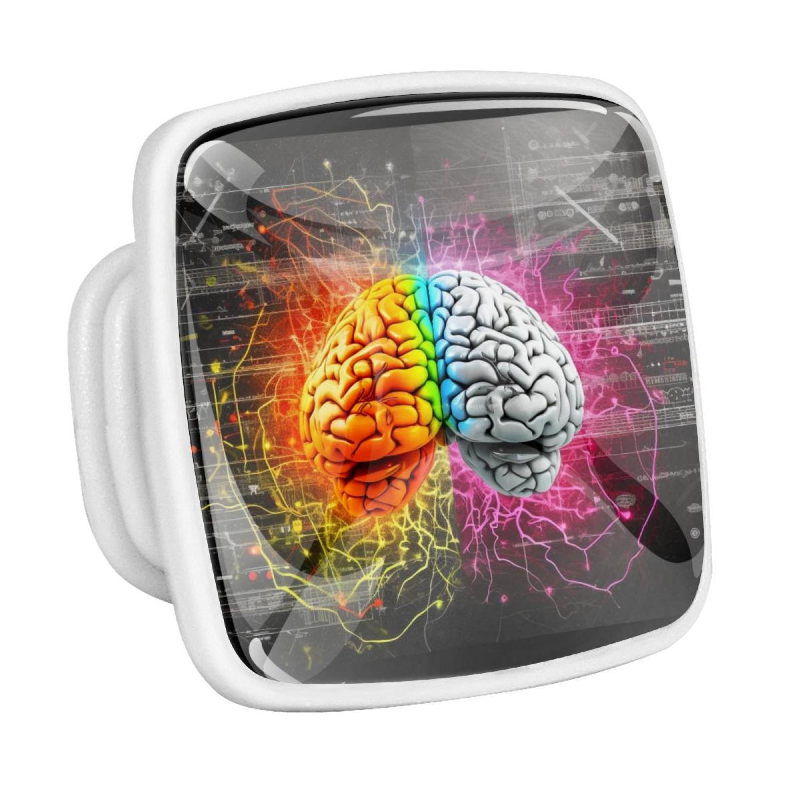 Math Engineering Brain Fluorescent Drawer Pulls with Screws Square 4 ...