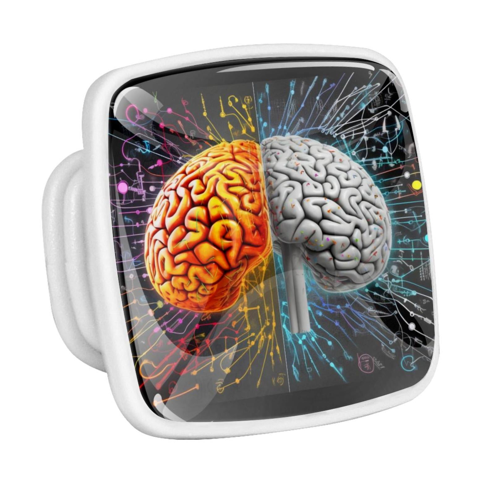 Math Engineering Brain Fluorescent Drawer Pulls with Screws Square 4 ...