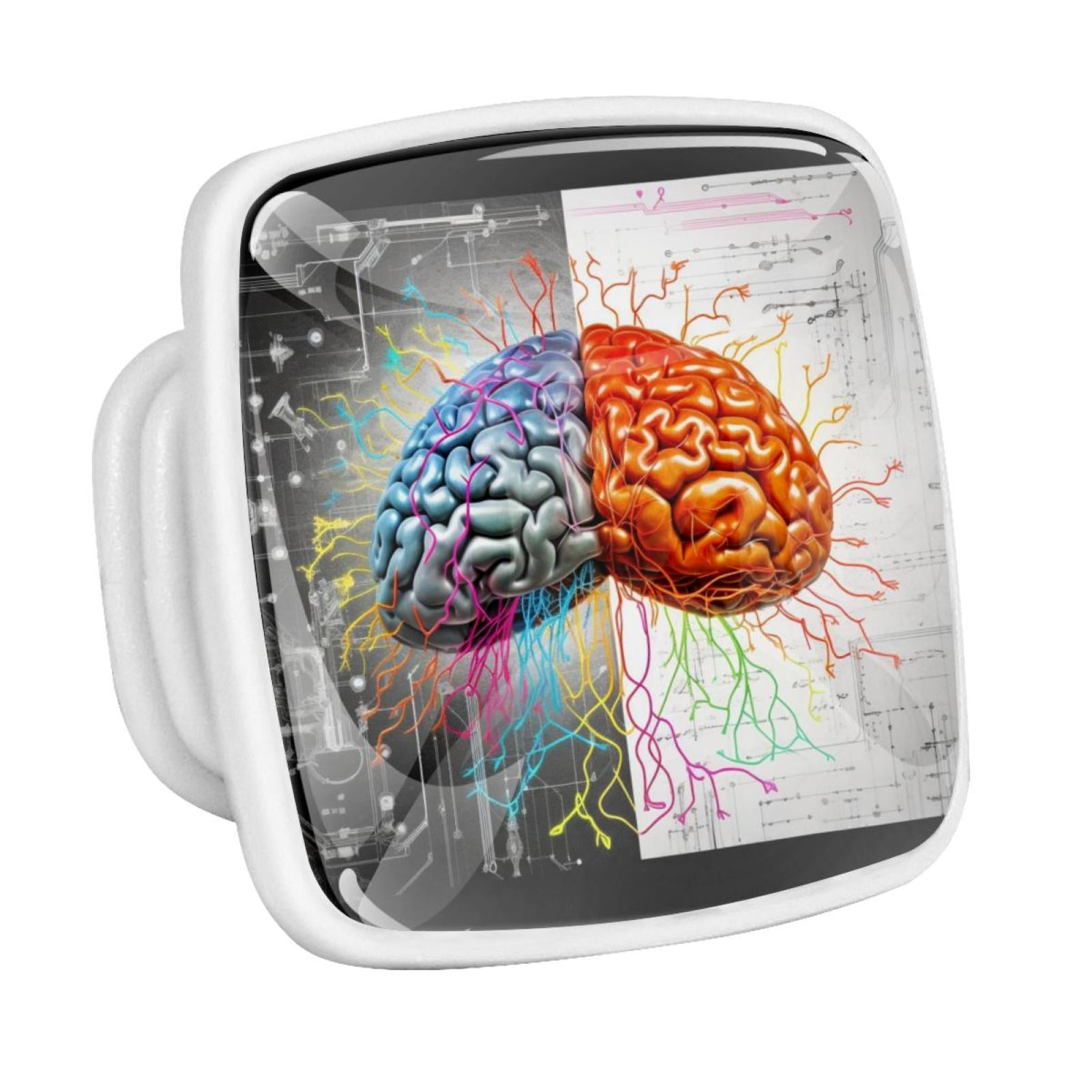 Math Engineering Brain Fluorescent Drawer Pulls with Screws Square 4 ...