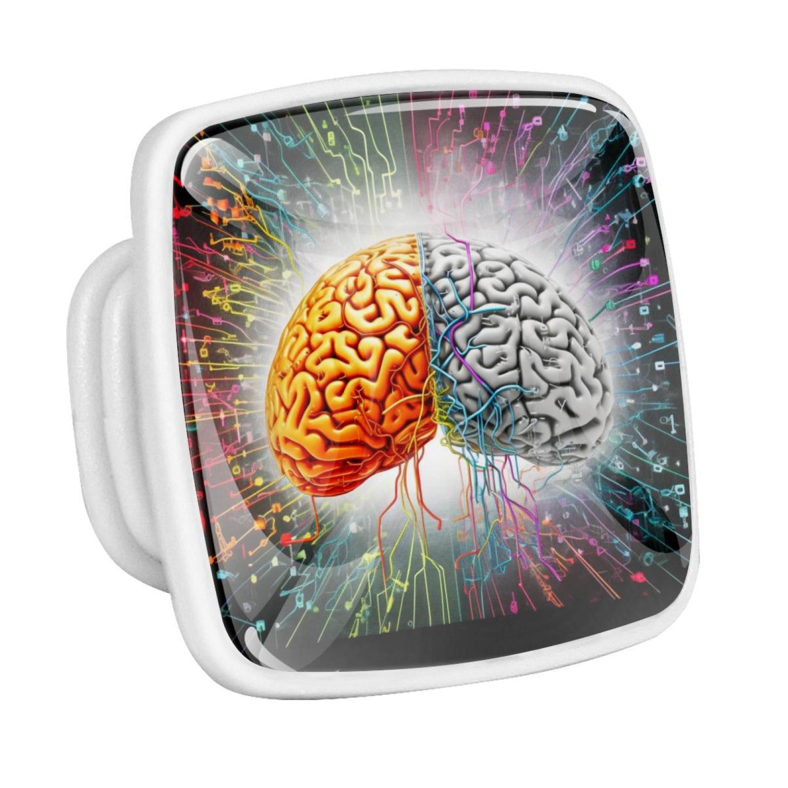 Math Engineering Brain Fluorescent Drawer Pulls with Screws Square 4 ...