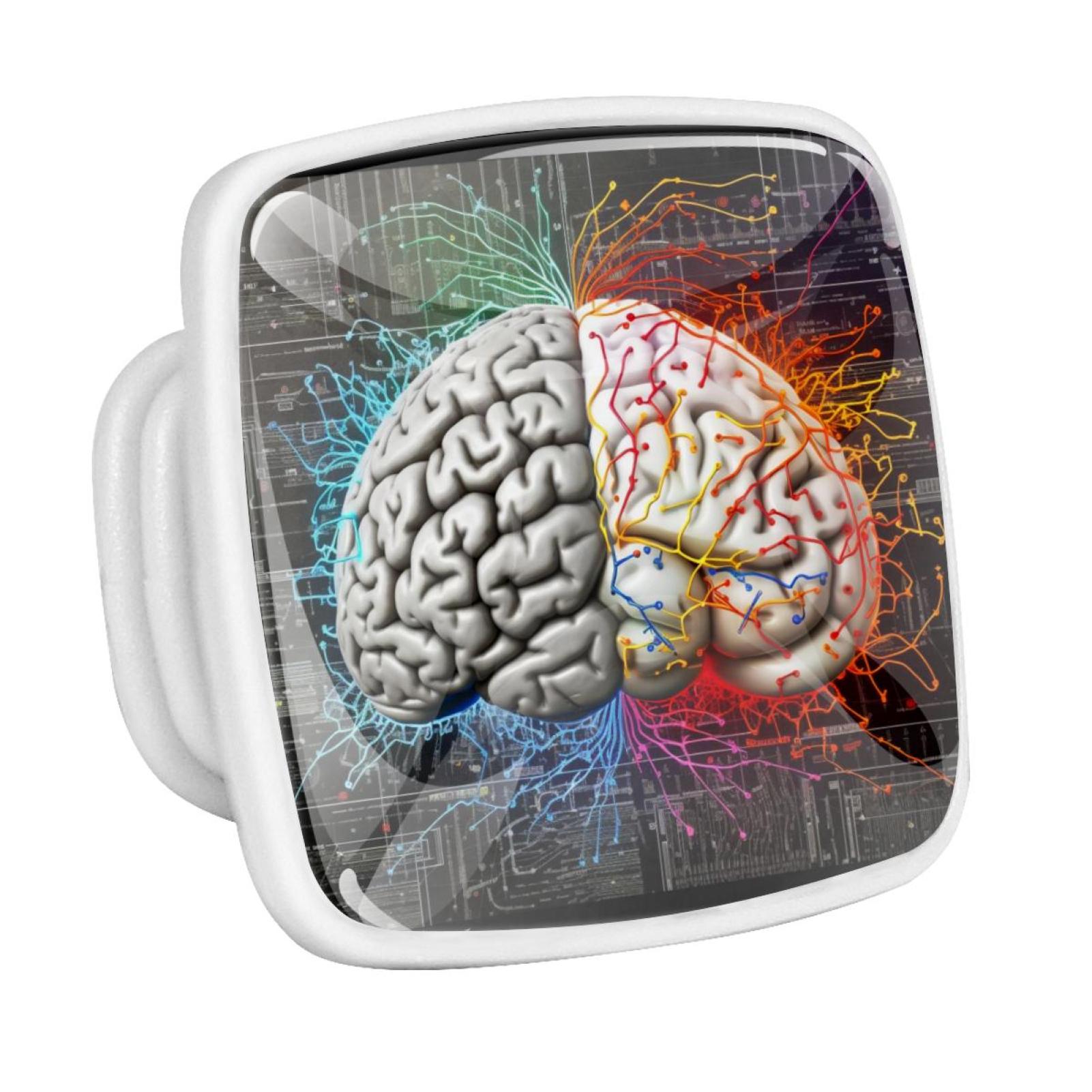 Math Engineering Brain Fluorescent Drawer Pulls with Screws Square 4 ...