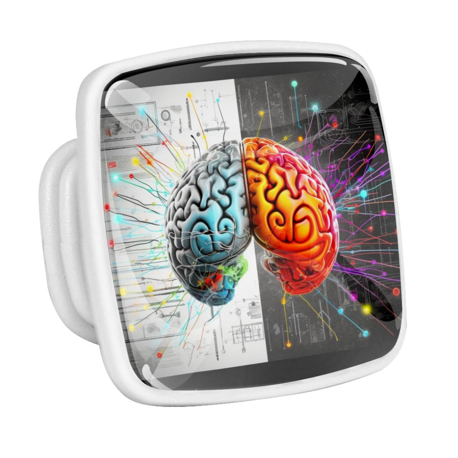 Math Engineering Brain Fluorescent Drawer Pulls with Screws Square 4 ...