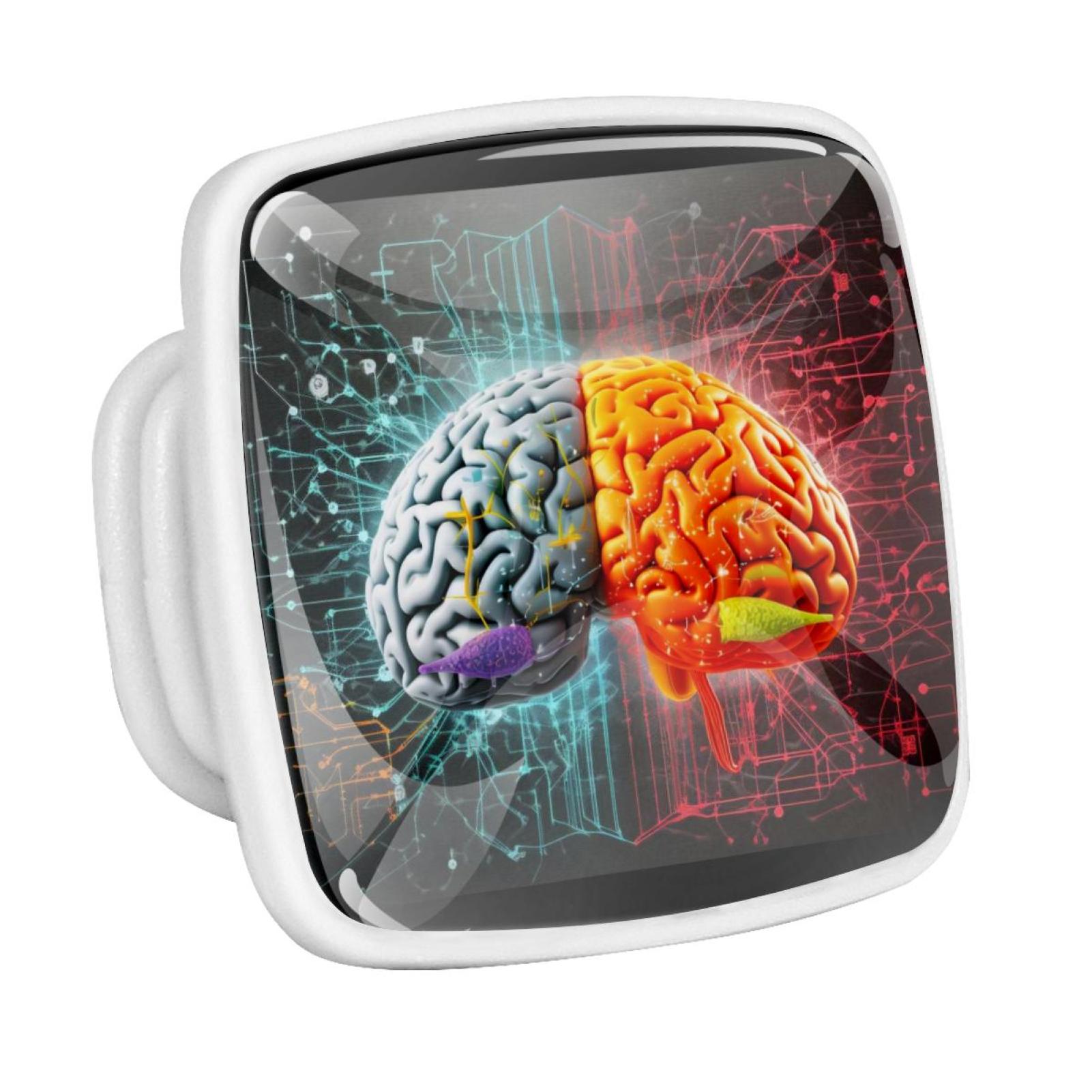 Math Engineering Brain Fluorescent Drawer Pulls with Screws Square 4 ...