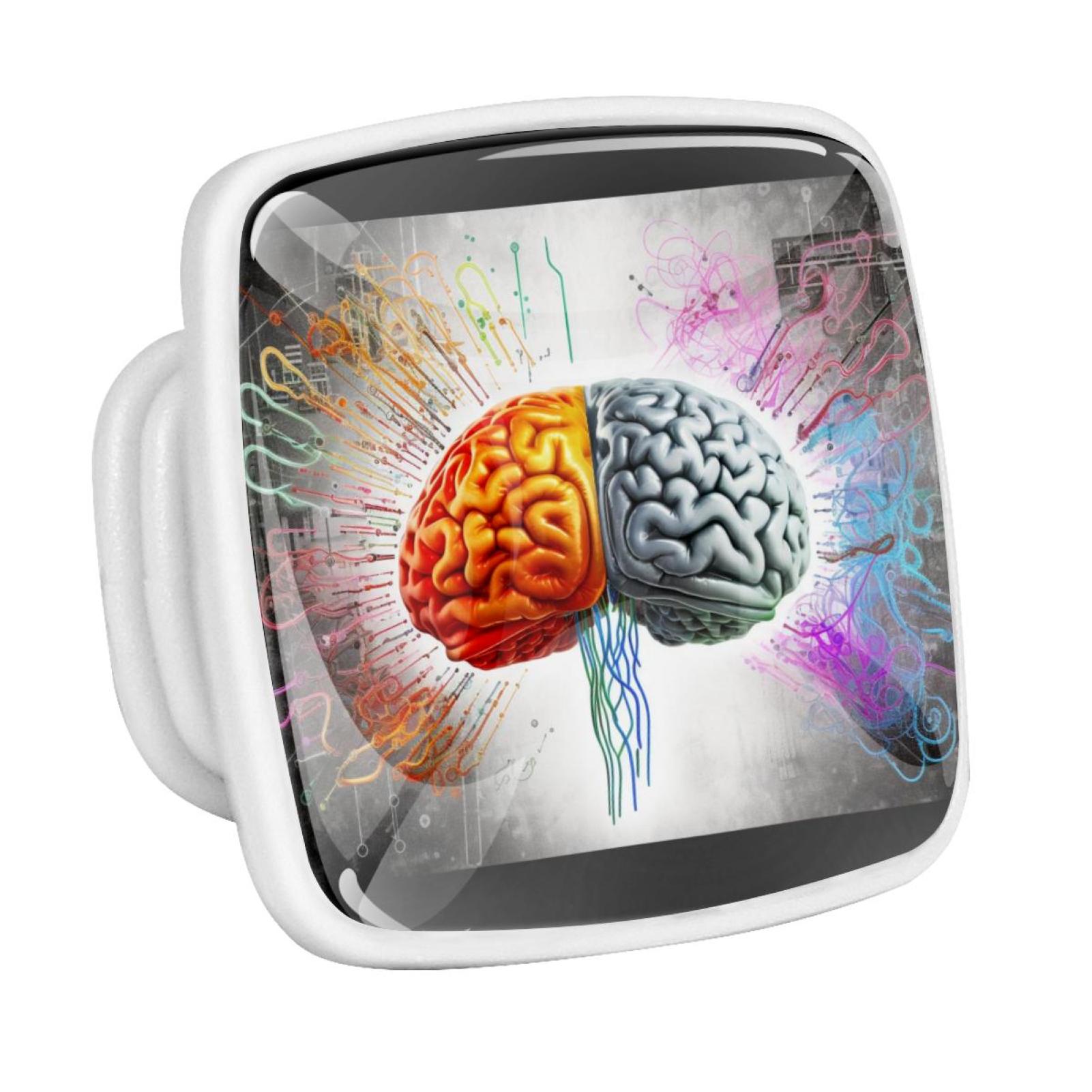 Math Engineering Brain Fluorescent Drawer Pulls with Screws Square 4 ...