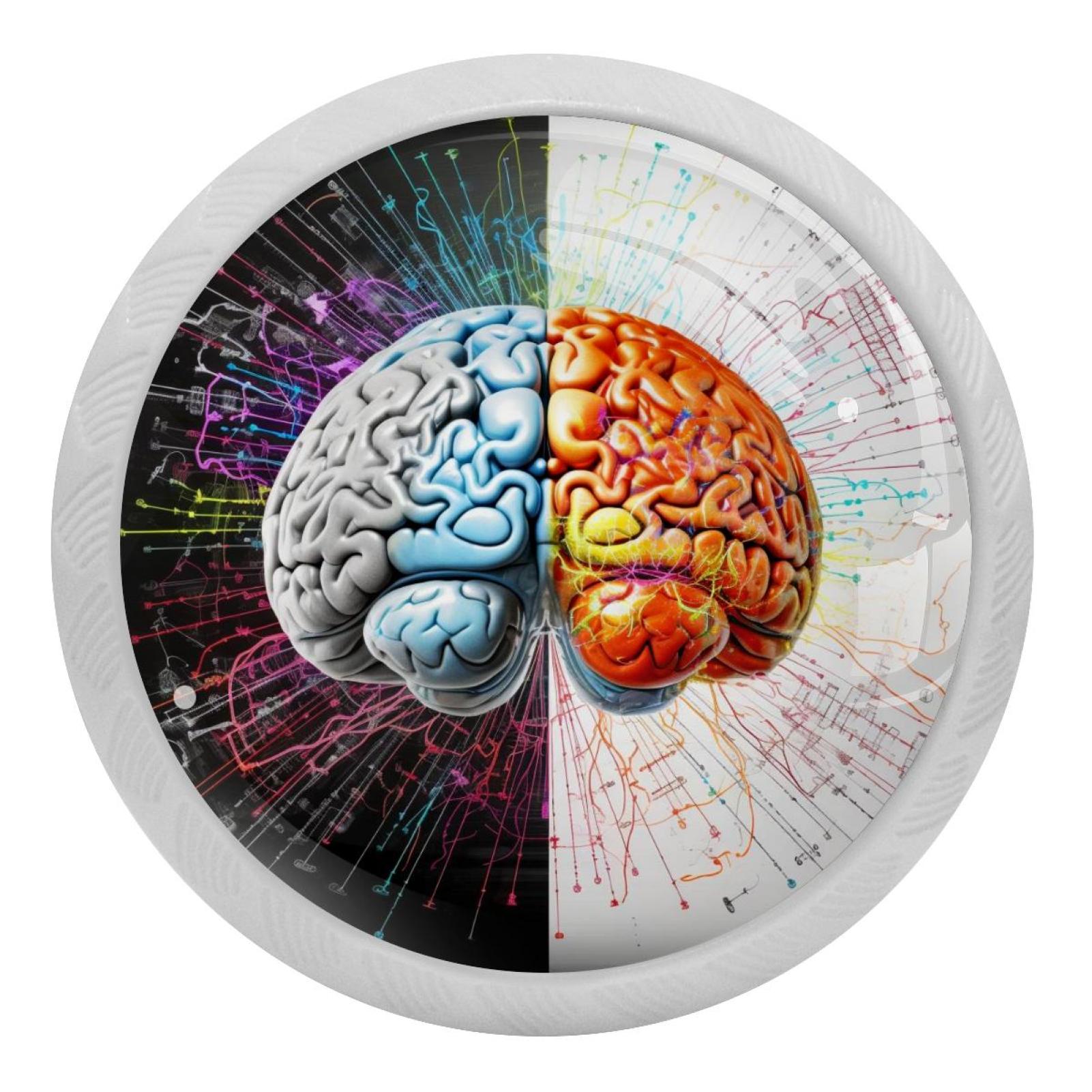 Math Engineering Brain Pattern 4PCS Cabinet Knobs Pulls Fluorescent ...