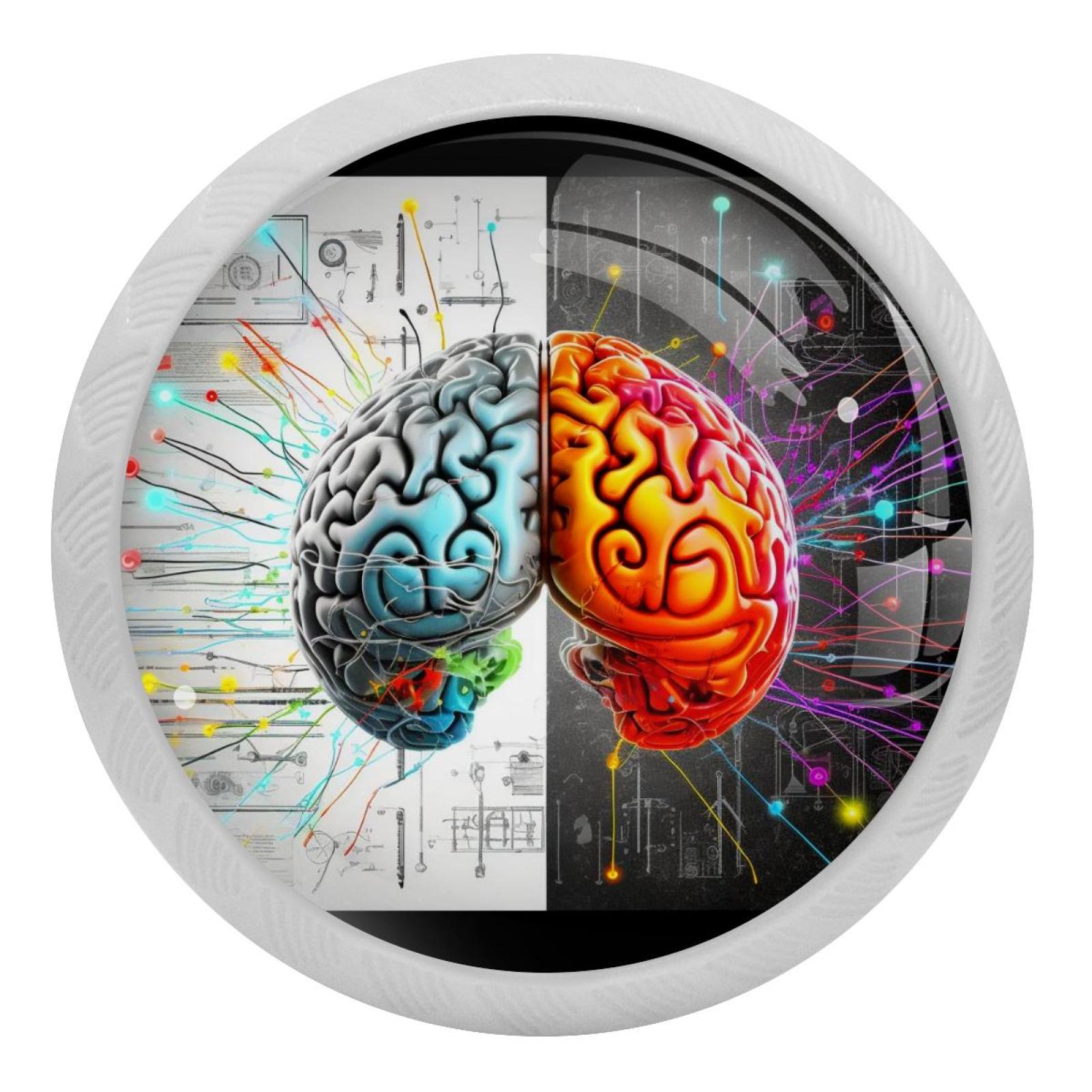 Math Engineering Brain Pattern 4PCS Cabinet Knobs Pulls Fluorescent ...