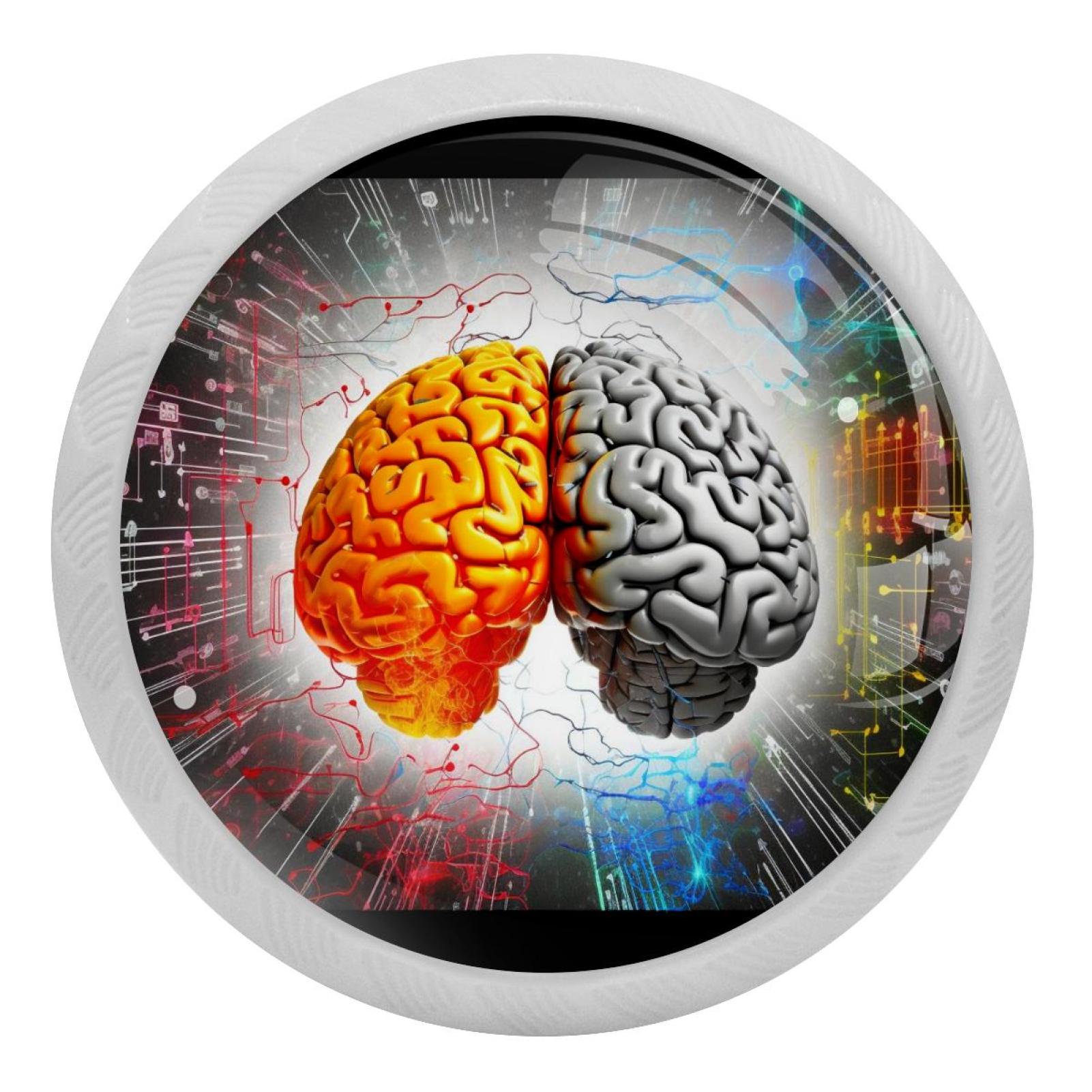 Math Engineering Brain Pattern 4PCS Cabinet Knobs Pulls Fluorescent ...