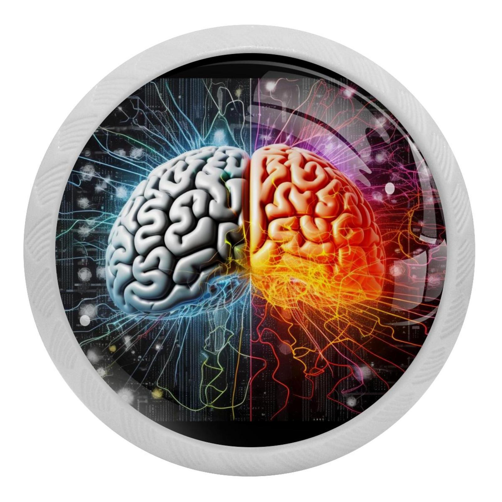 Math Engineering Brain Pattern 4PCS Cabinet Knobs Pulls Fluorescent ...