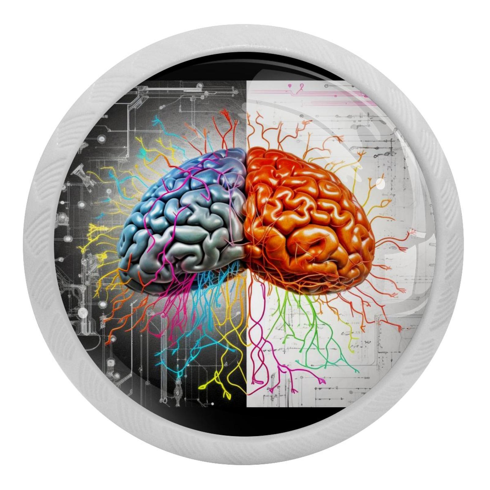 Math Engineering Brain Pattern 4PCS Cabinet Knobs Pulls Fluorescent ...