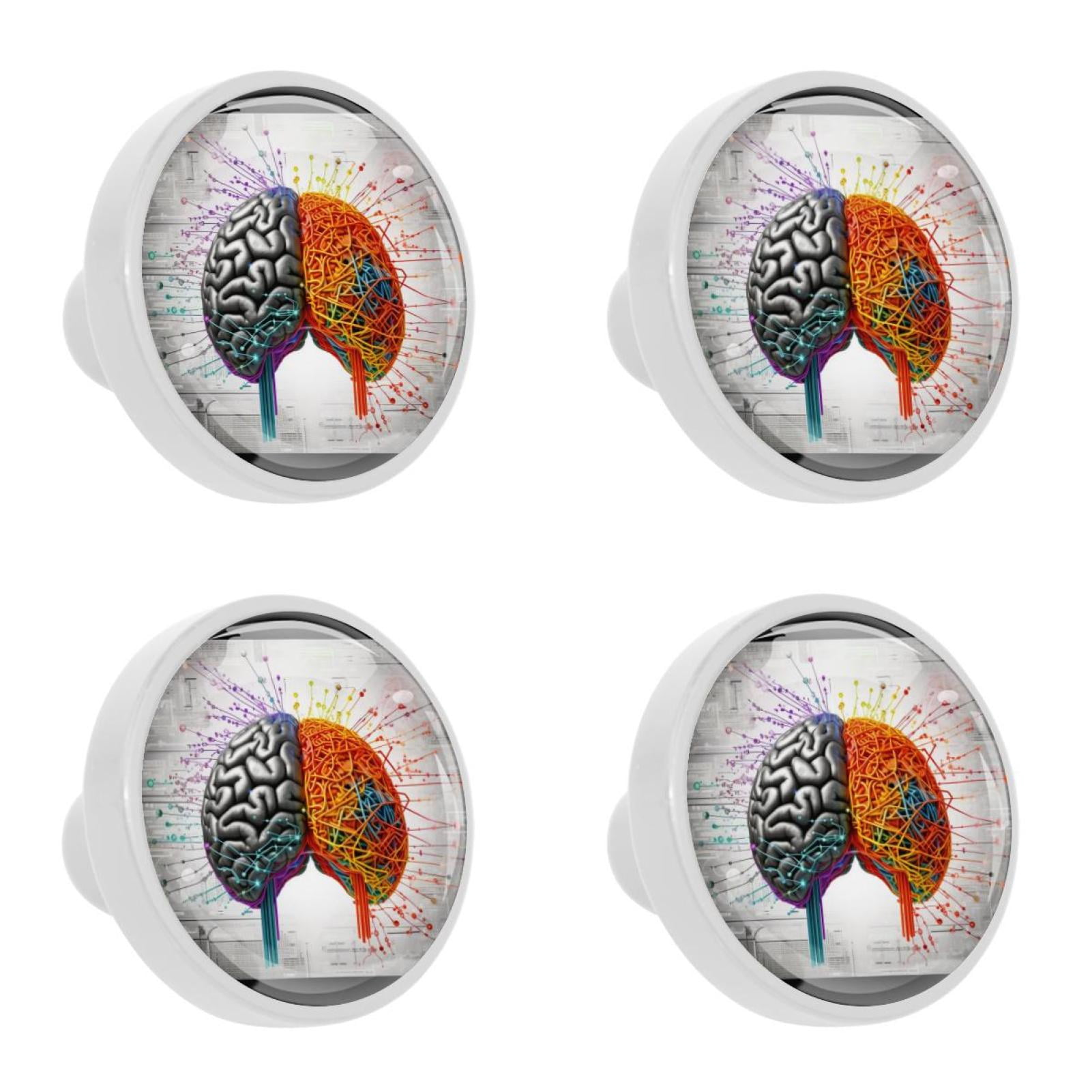 Math Engineering Brain Set of 4 ABS and Glass Drawer Pulls with Screws ...