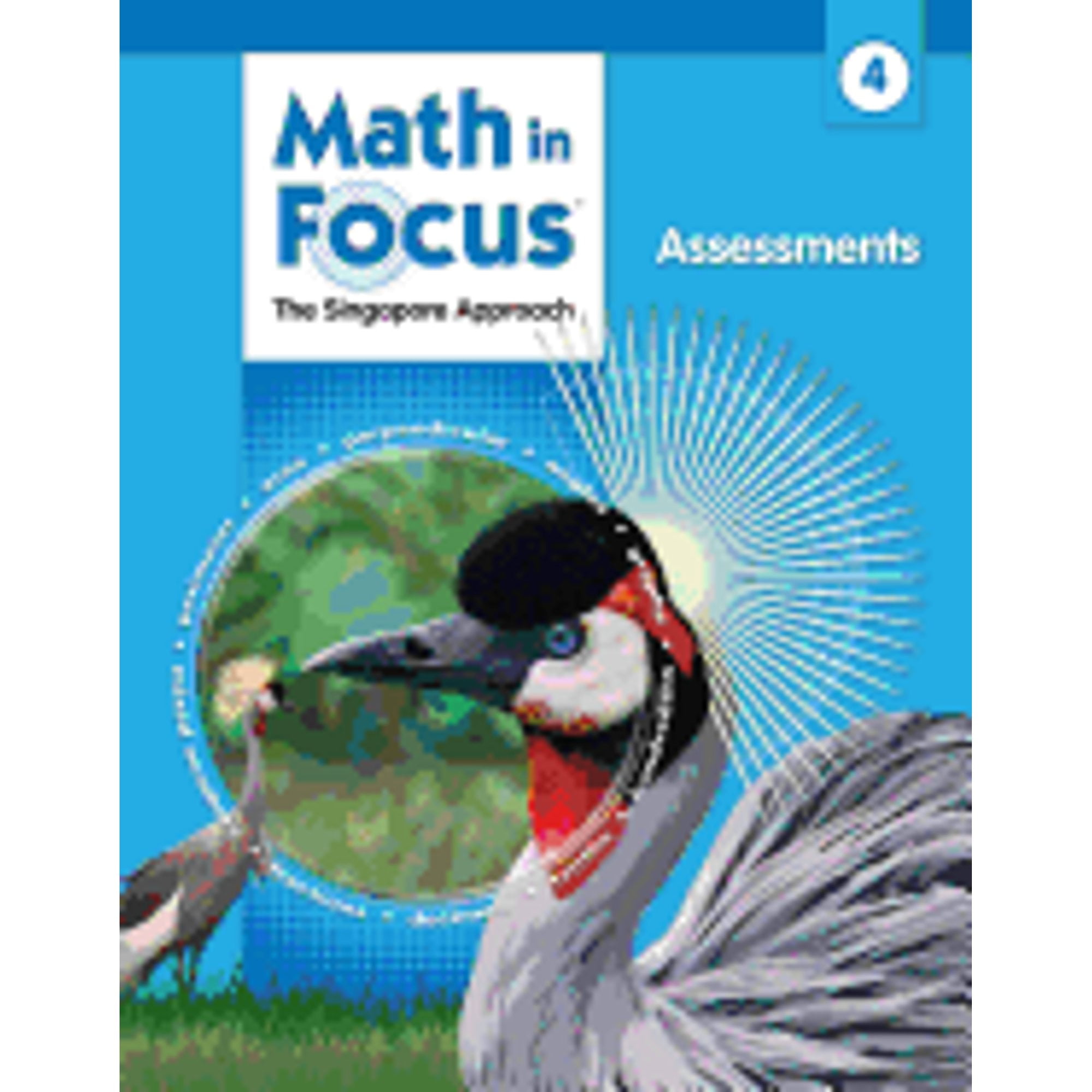 Math In Focus: The Singapore Approach Grade 4 Assessments - Walmart.com