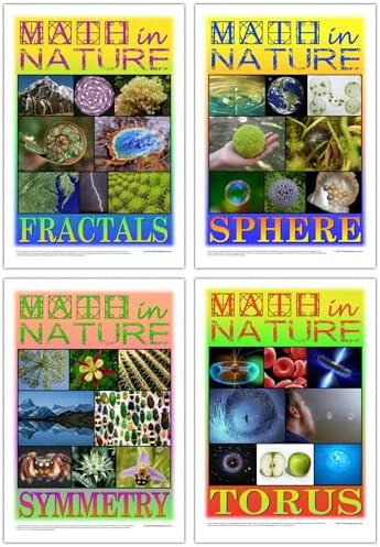 Math in Nature Posters, Educational Set of 4; Fractals, Sphere ...